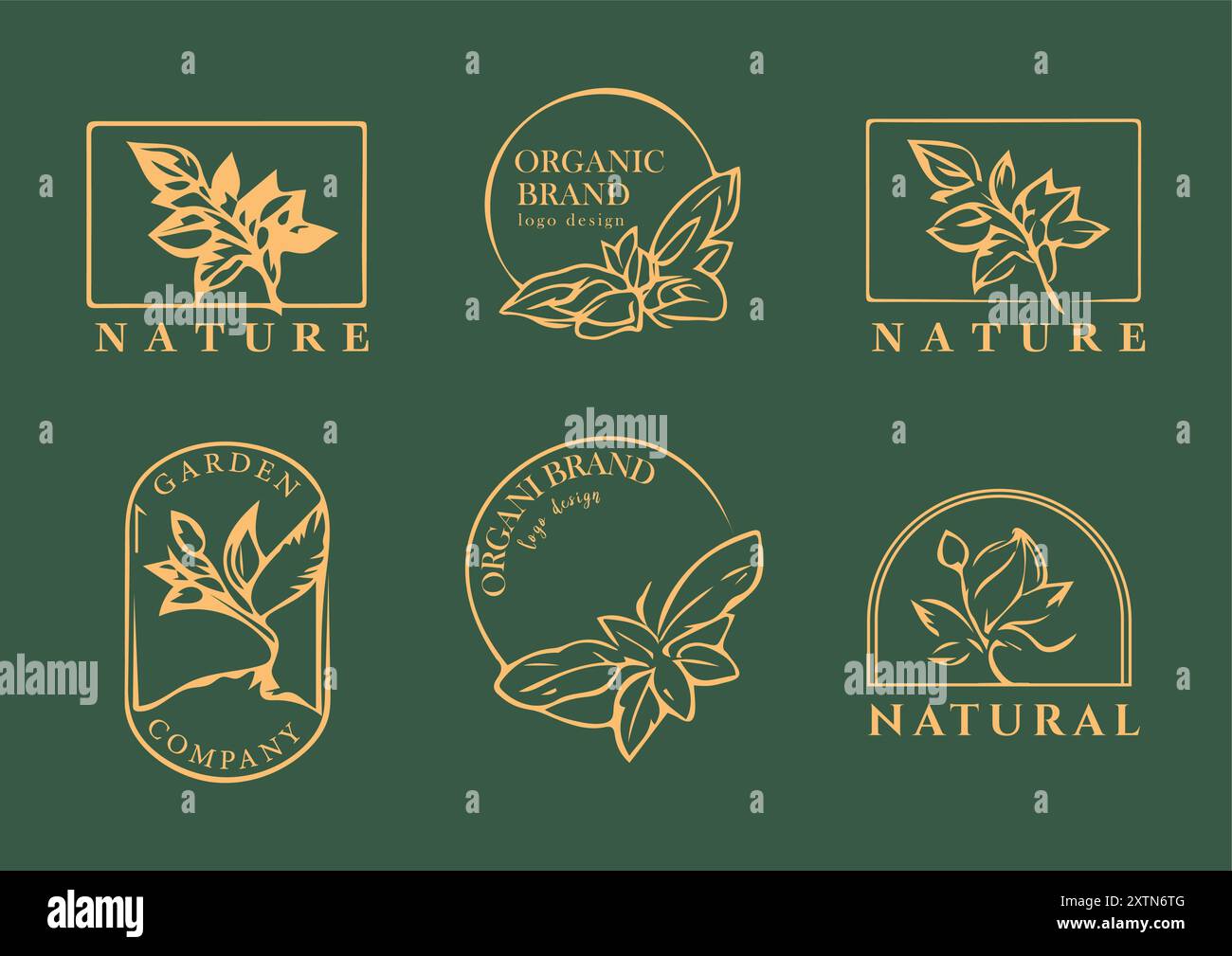 Elegant Botanical Logos Collection on Emerald Background Stock Vector ...