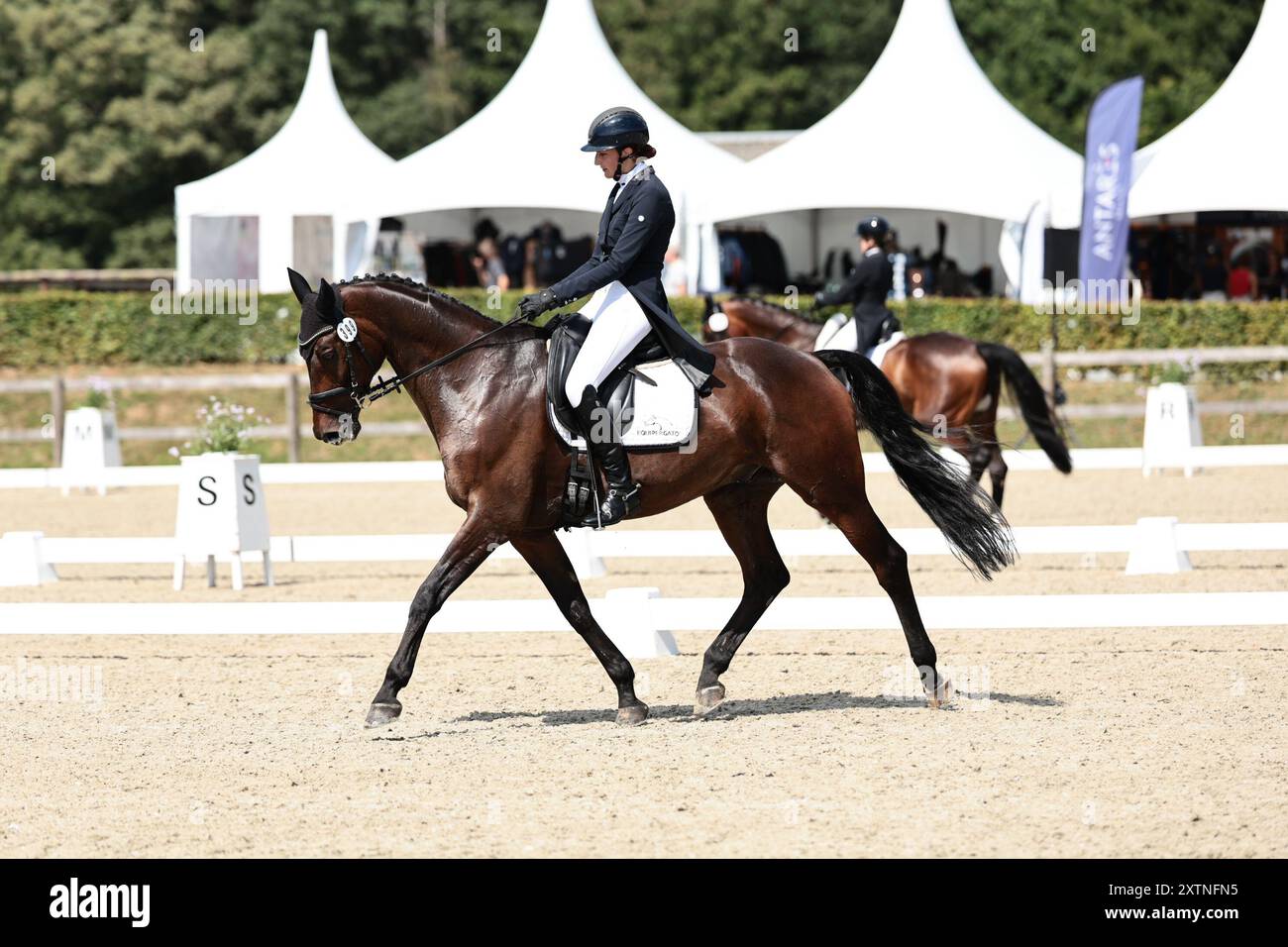Ann-Catrin BIERLEIN of Germany with Sir Scotty during the dressage of ...