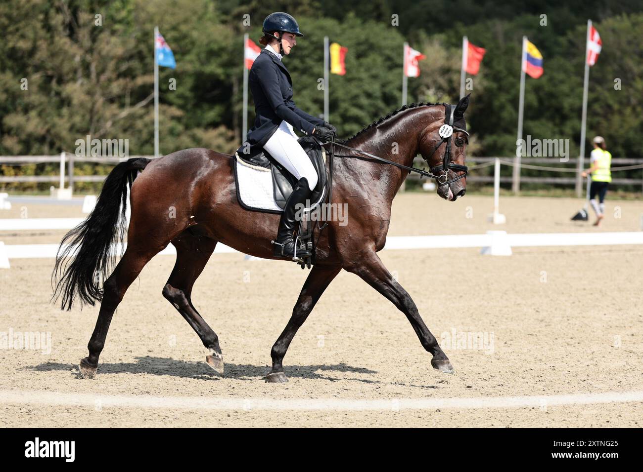 Ann-Catrin BIERLEIN of Germany with Sir Scotty during the dressage of ...