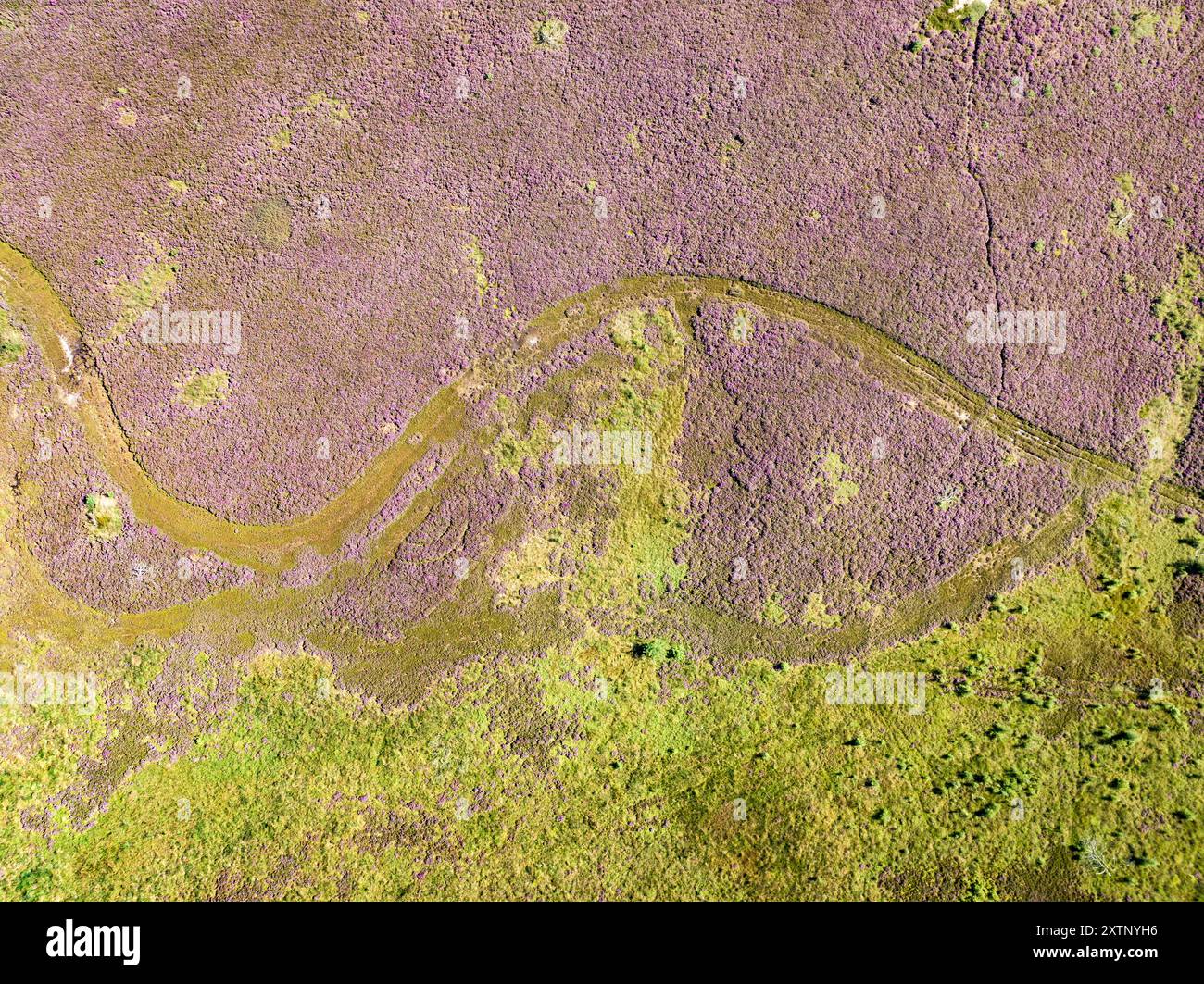 Aerial view over a meandering pathway at Randbøl Hede near Billund ...
