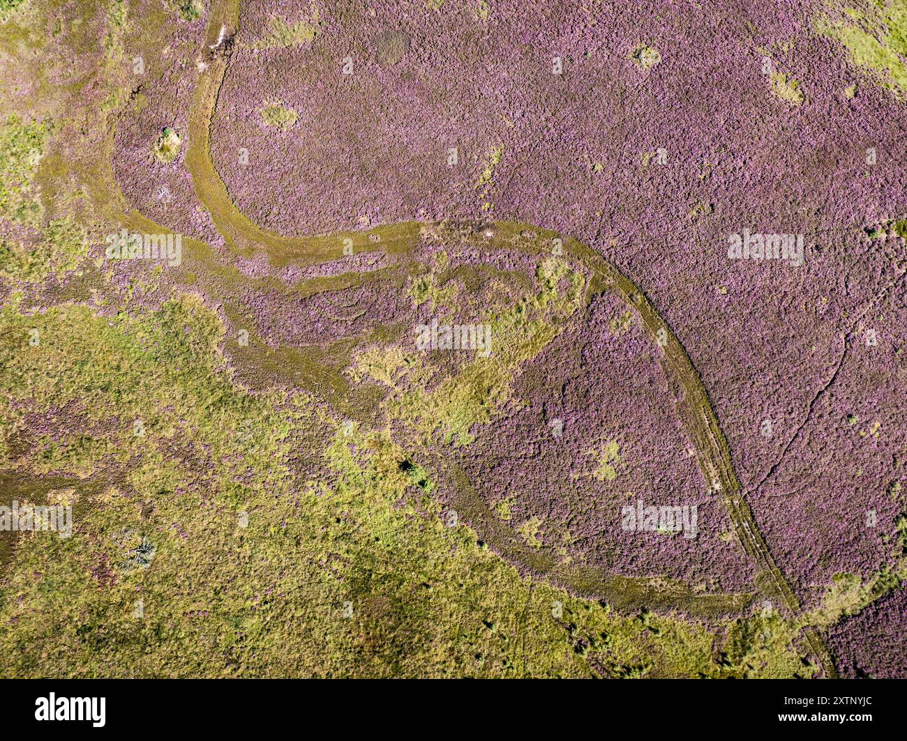 Aerial view over a meandering pathway at Randbøl Hede near Billund ...