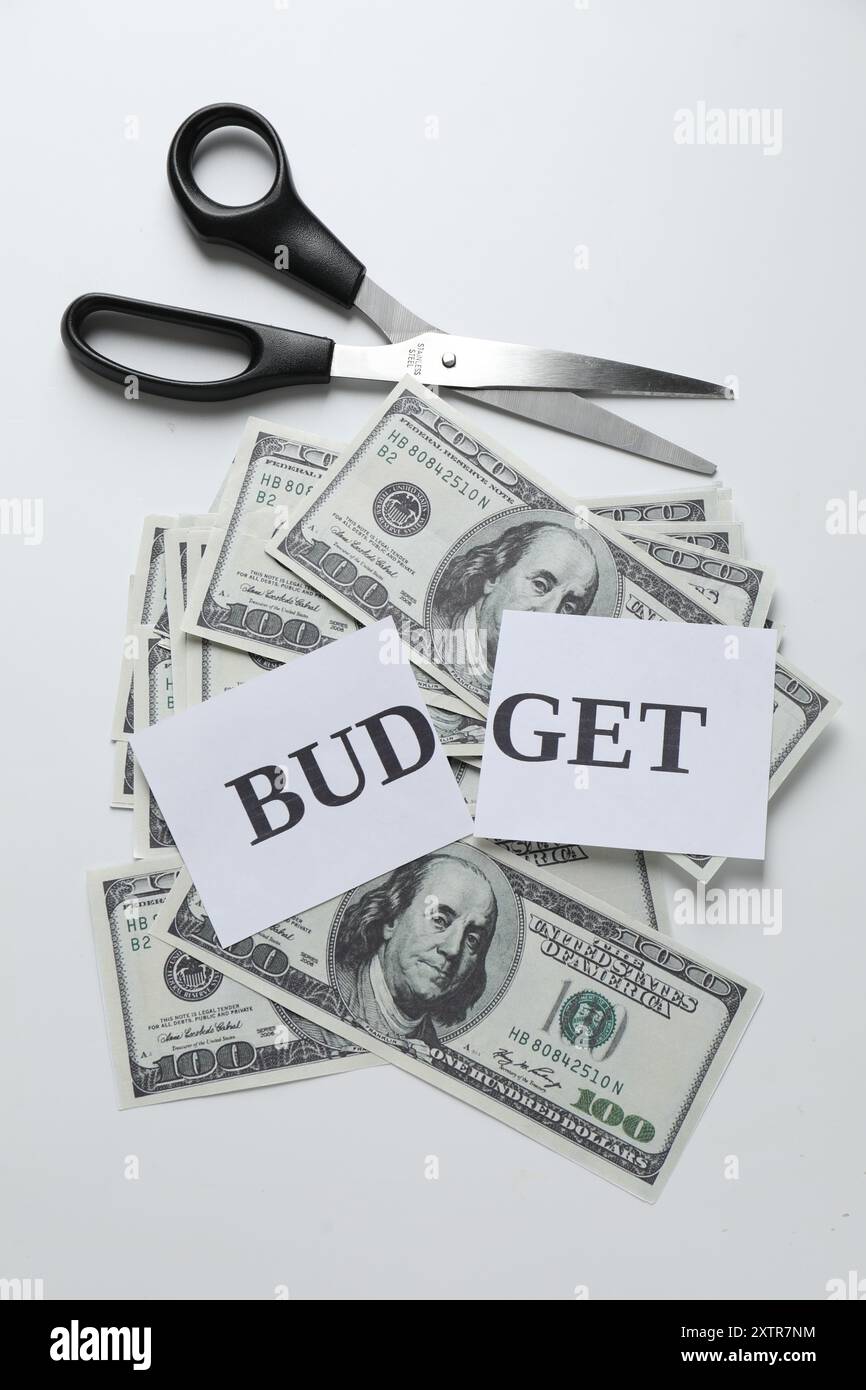Cut paper with word Budget, dollar banknotes and scissors on white ...