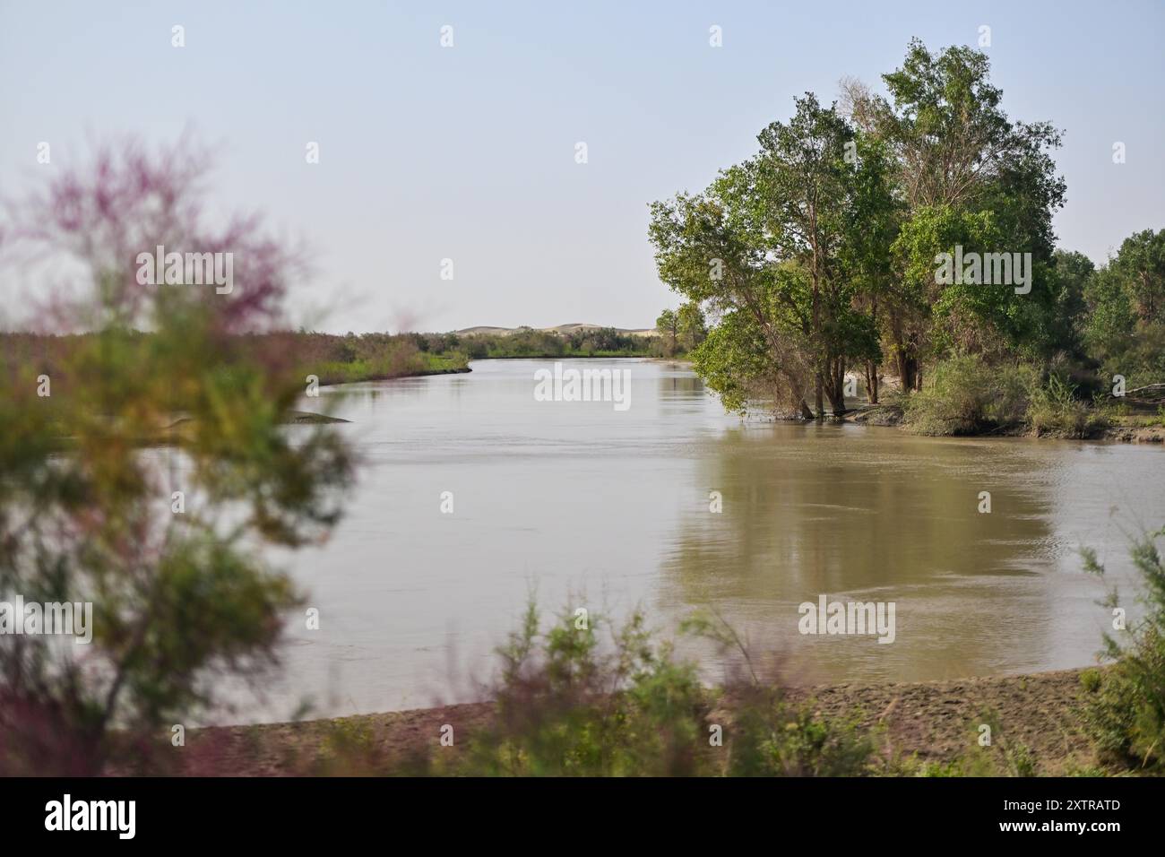 (240816) -- YULI, Aug. 16, 2024 (Xinhua) -- This photo taken on Aug. 13 ...