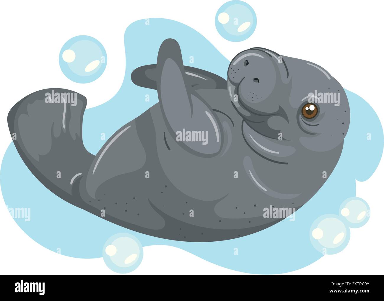 stellers sea cow extinct animal Stock Vector Image & Art - Alamy