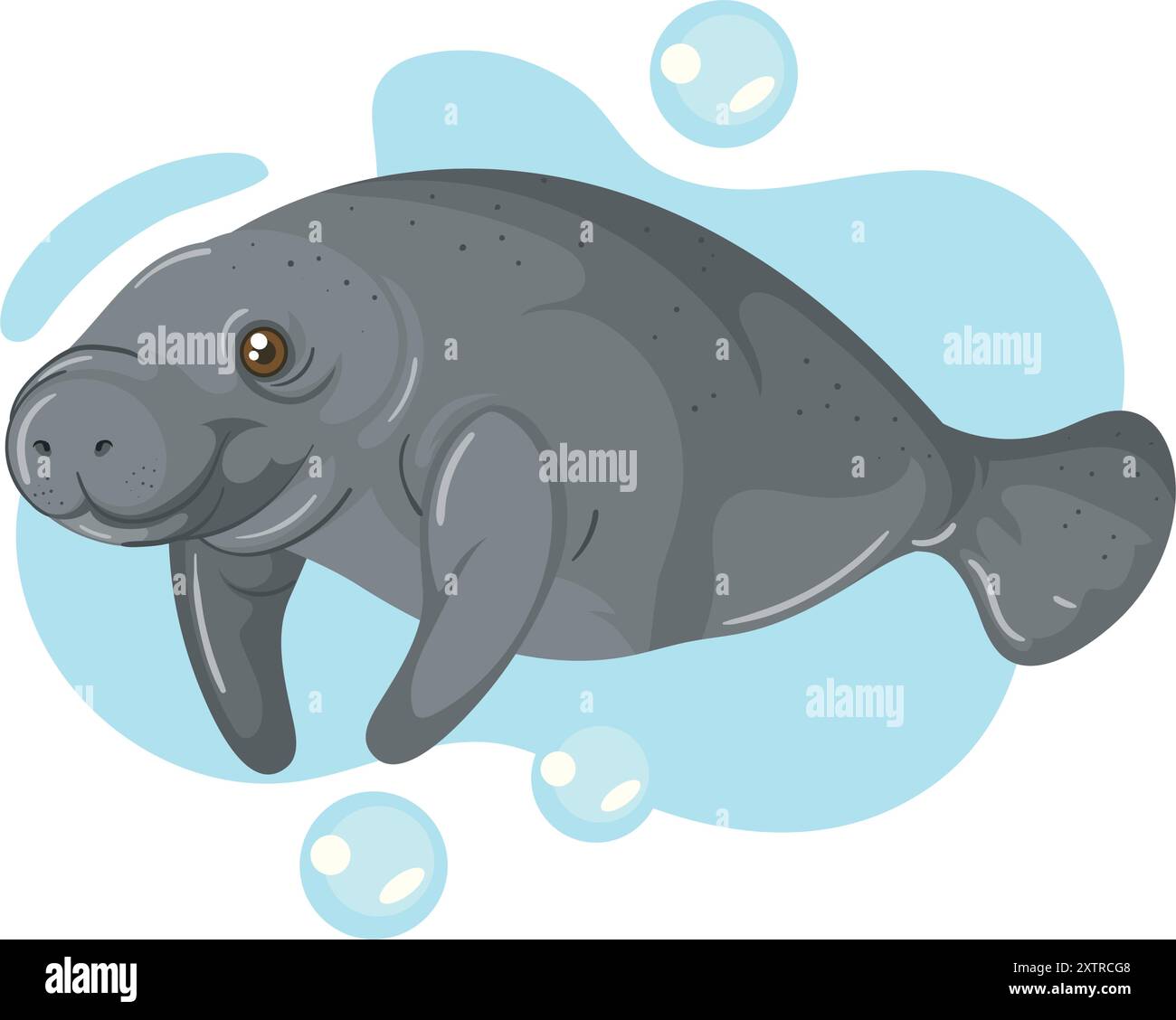 cute cartoon manatee Stock Vector Image & Art - Alamy