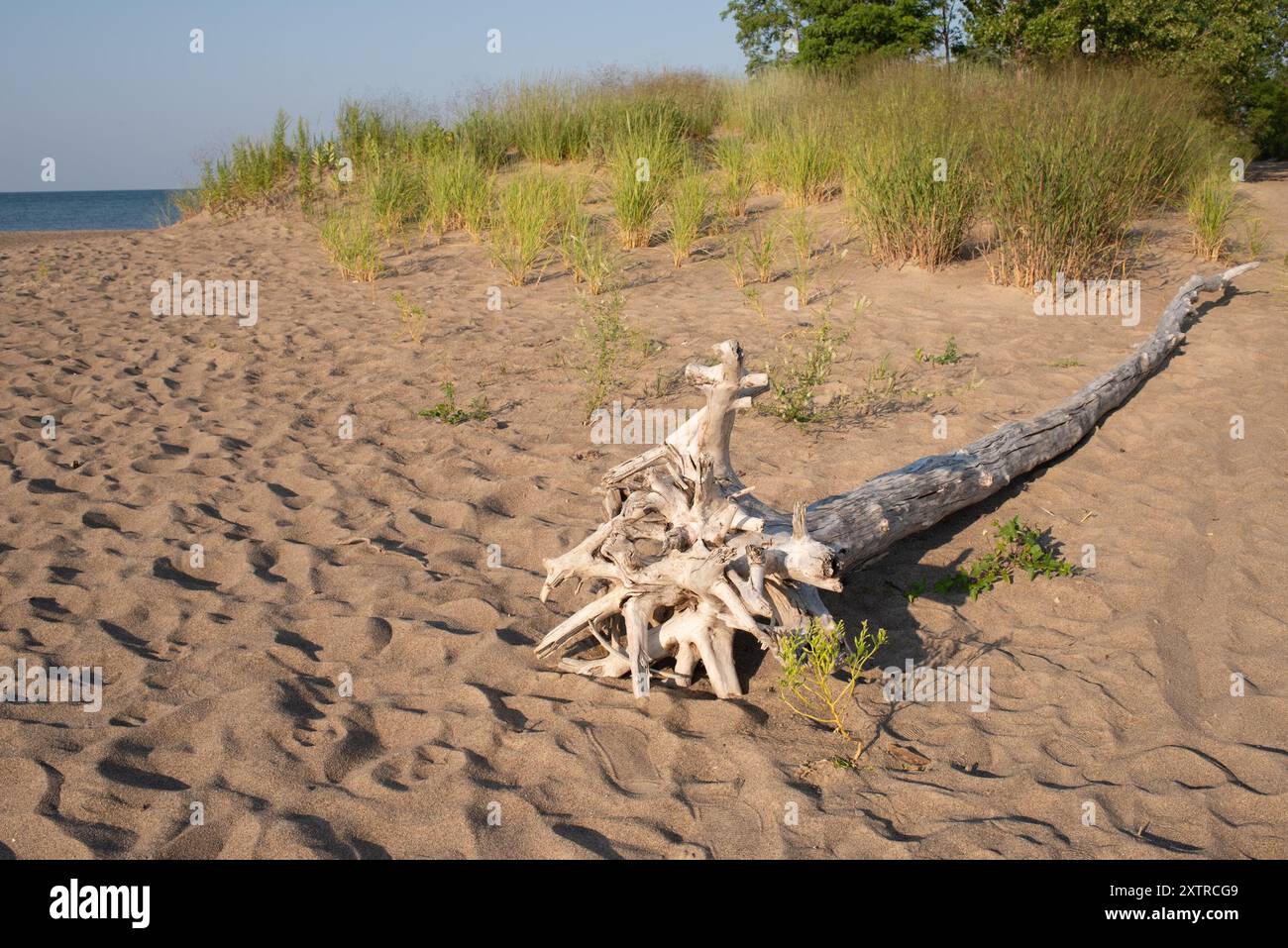 Summer days in Presque Isle State Park in Erie, Pennsylvania Stock ...
