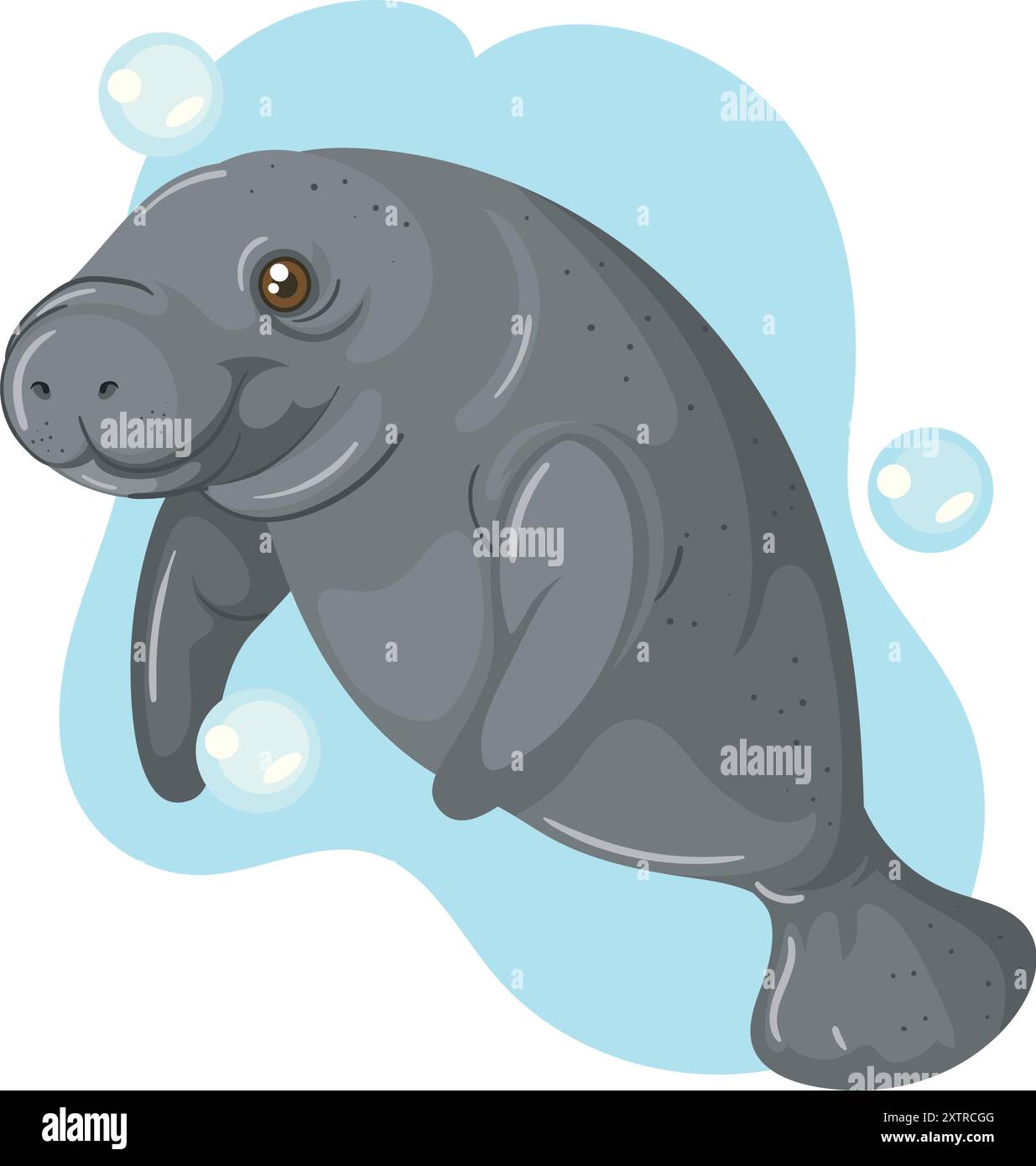 Cute seacow hi-res stock photography and images - Alamy