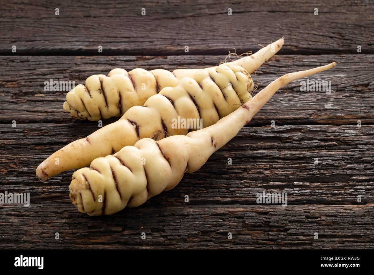 Organic cubios - Colombian tuber. Tropaeolum tuberosum Stock Photo - Alamy