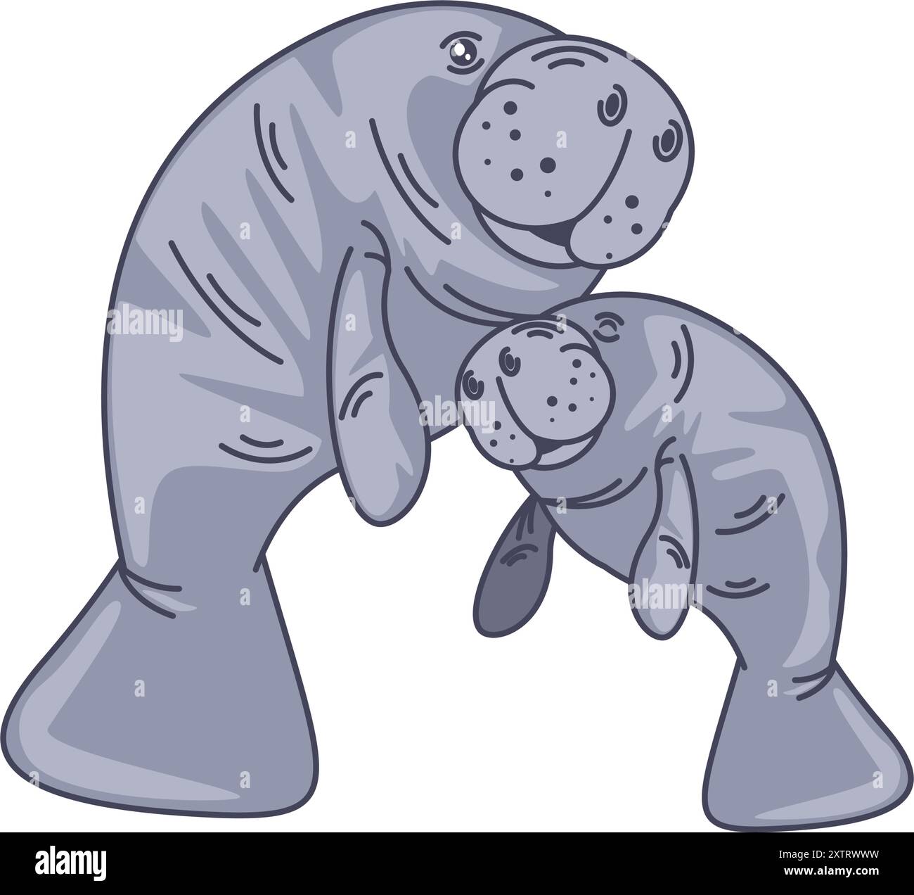 mother and cub of sea cow Stock Vector Image & Art - Alamy