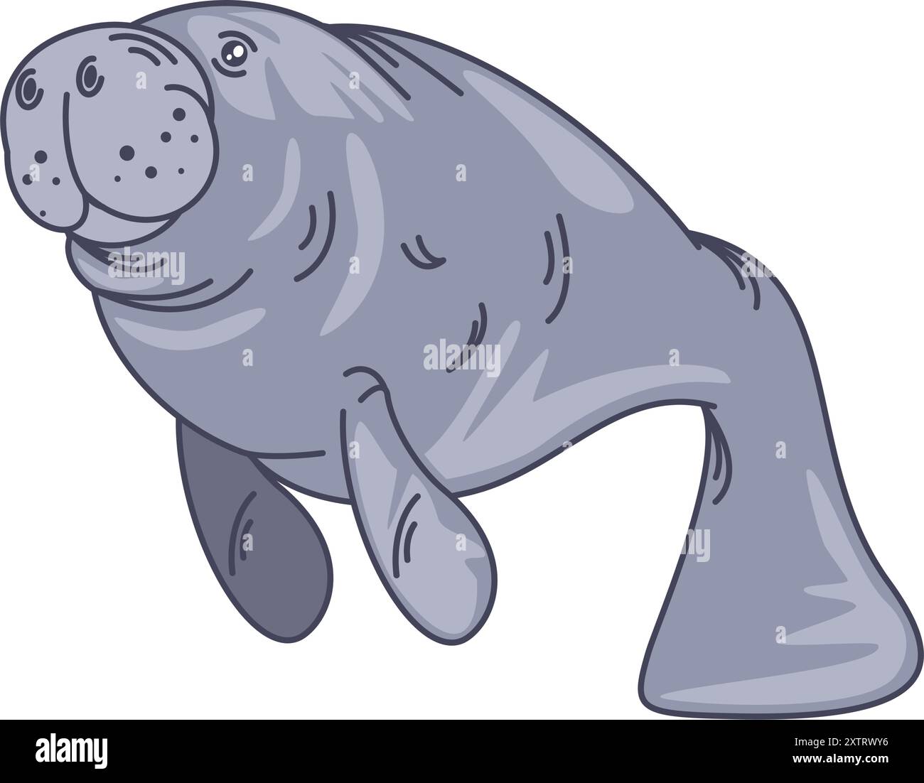 cute cartoon sea cow Stock Vector Image & Art - Alamy
