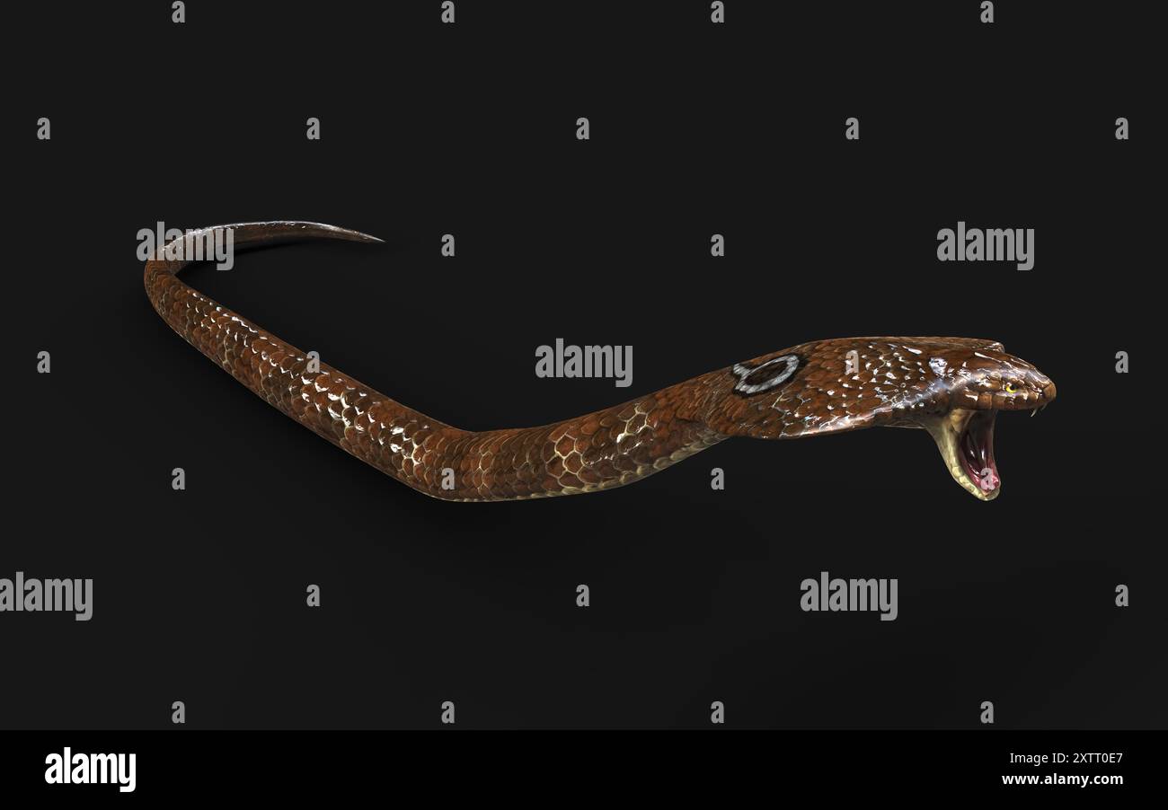 3d Illustration King Cobra The World's Longest Venomous Snake Isolated ...
