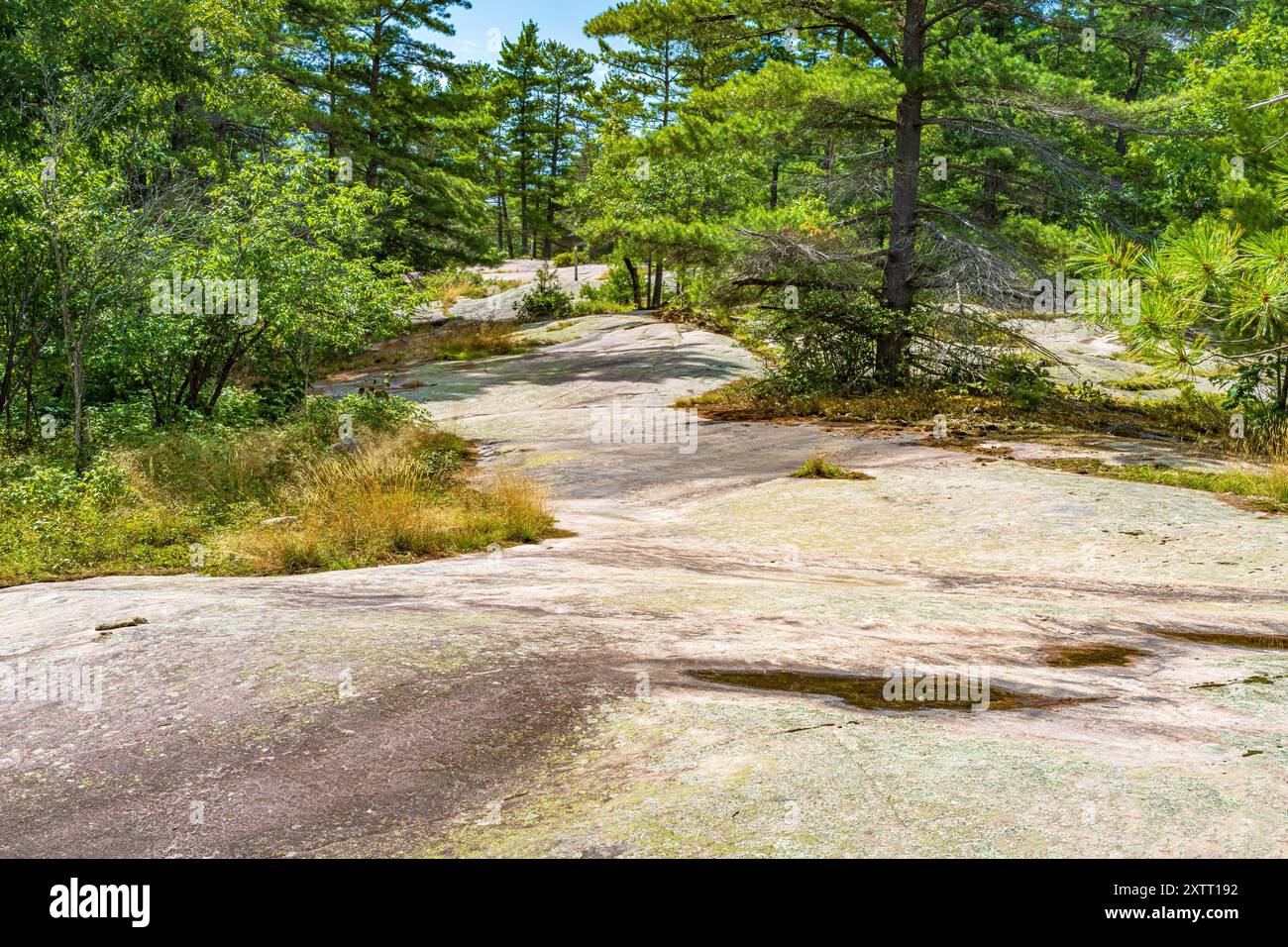 The rocky terrain of Twin Points Trail in Kilbear Provincial Park. The ...