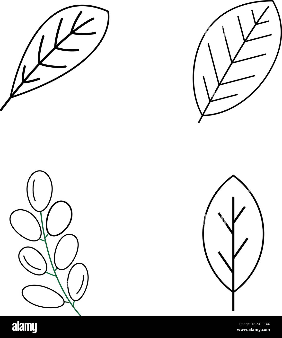 simple leaf icon illustration design Stock Vector Image & Art - Alamy