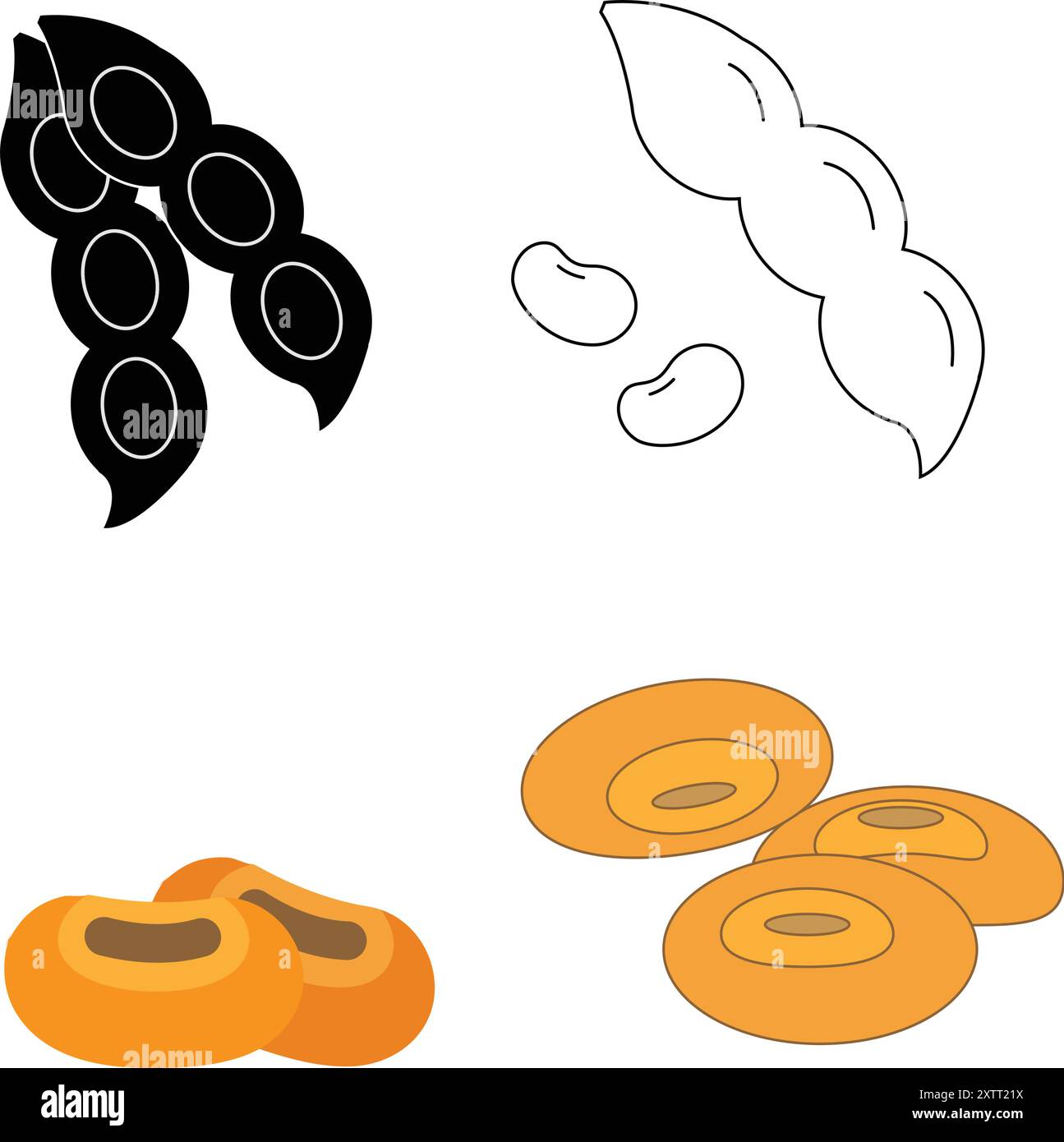 Soybeans soya beans grain Stock Vector Images - Alamy