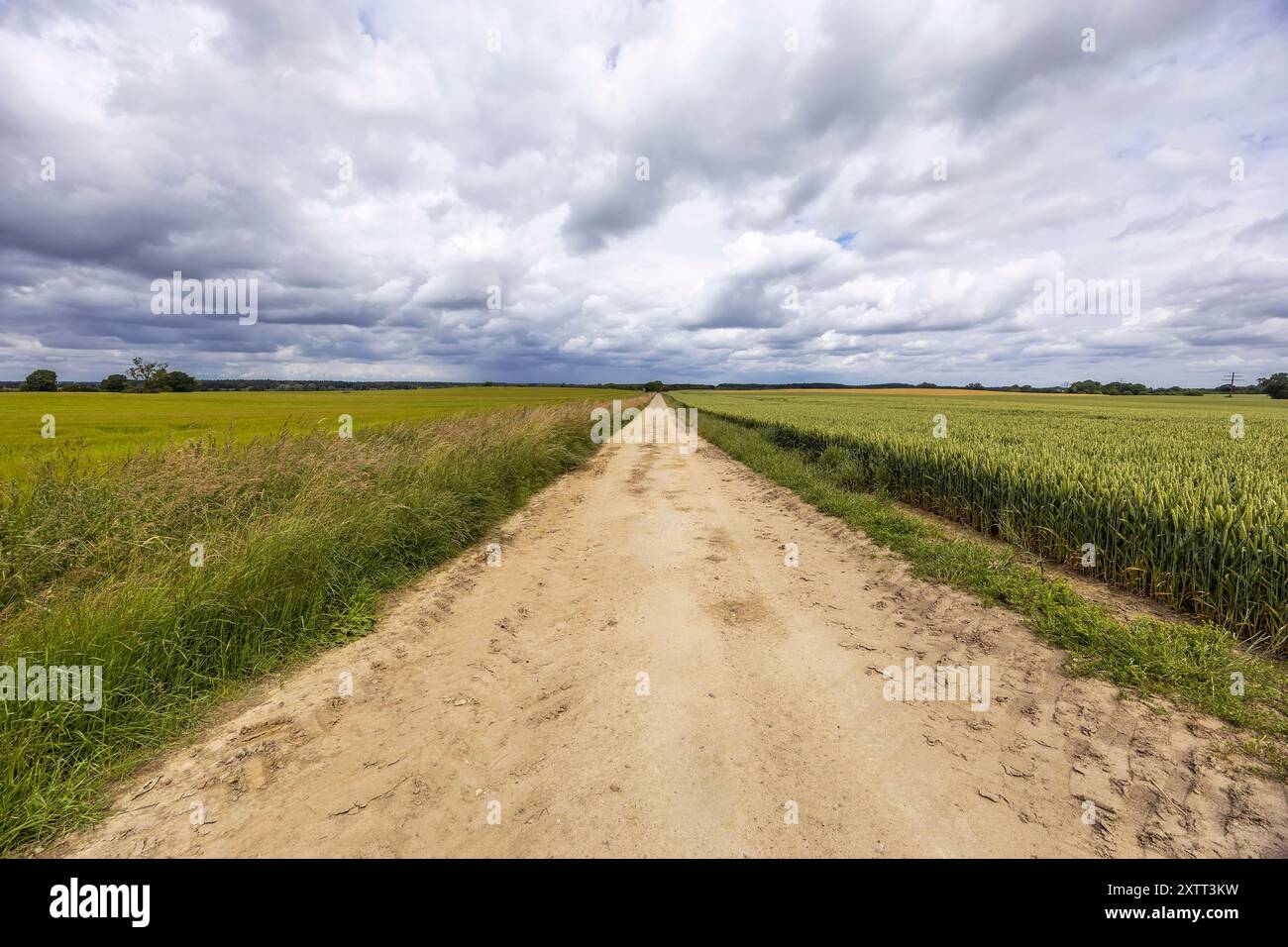 Long dirt road through hi-res stock photography and images - Alamy