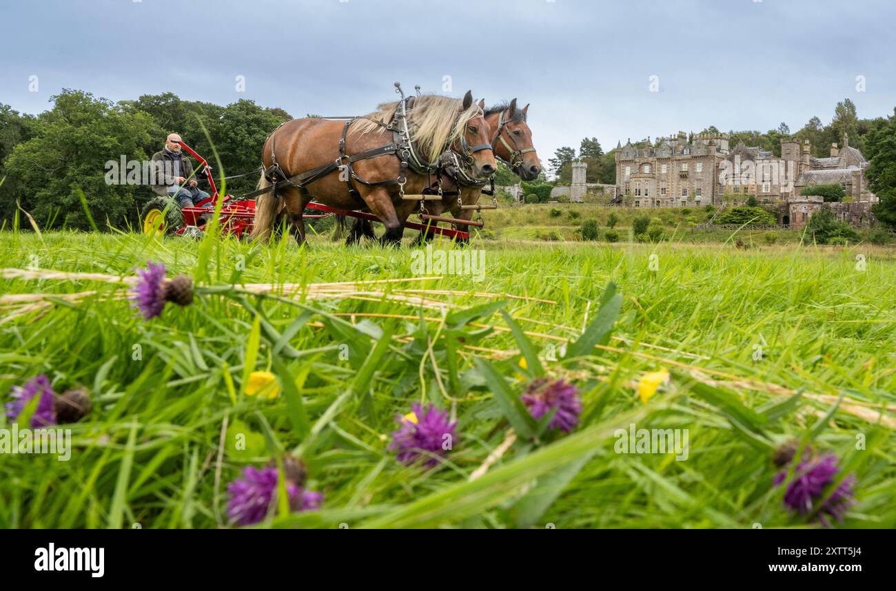 15th August 2024 Abbotsford, near Melrose, Scottish Borders, Scotland ...