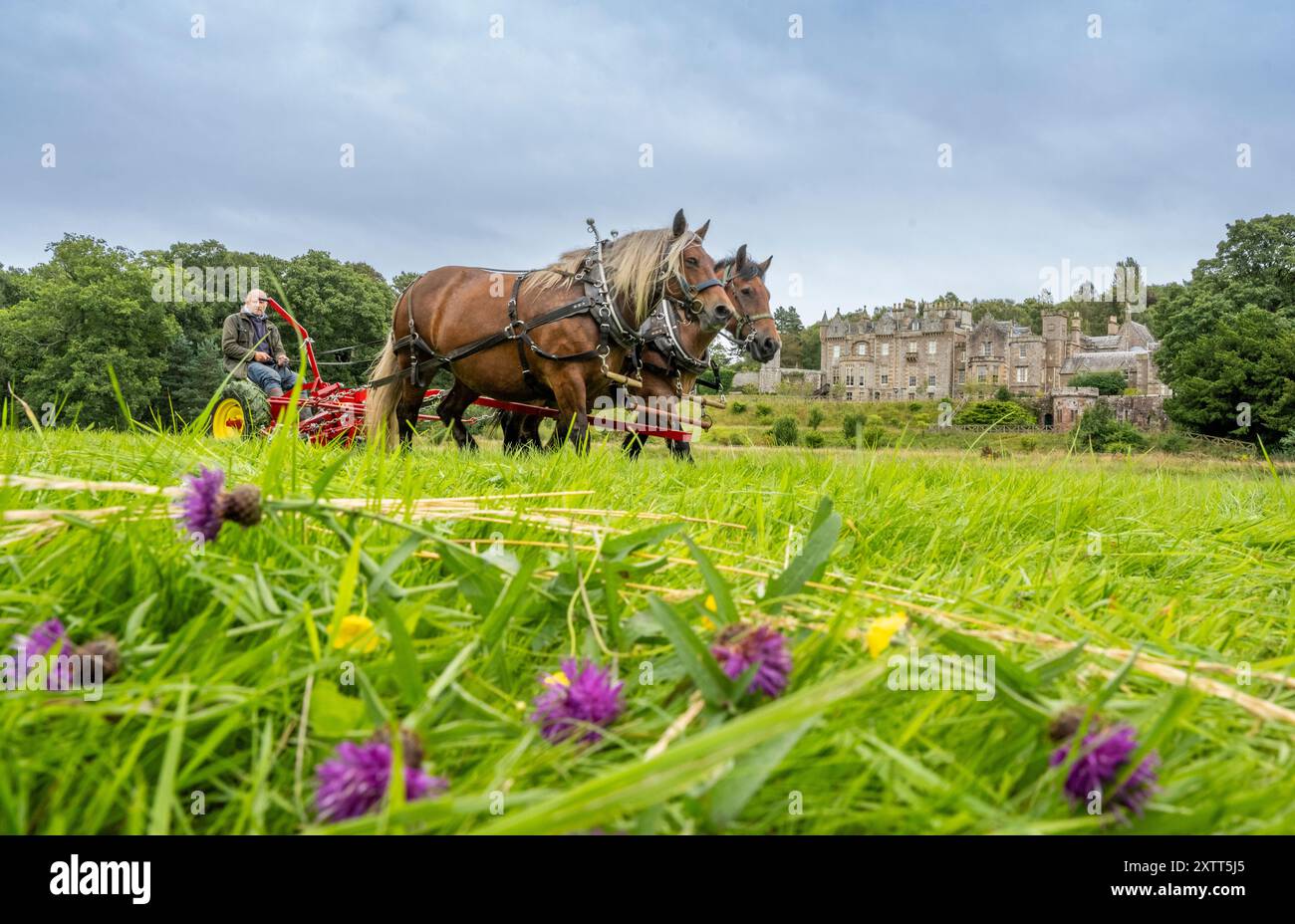 15th August 2024 Abbotsford, near Melrose, Scottish Borders, Scotland ...