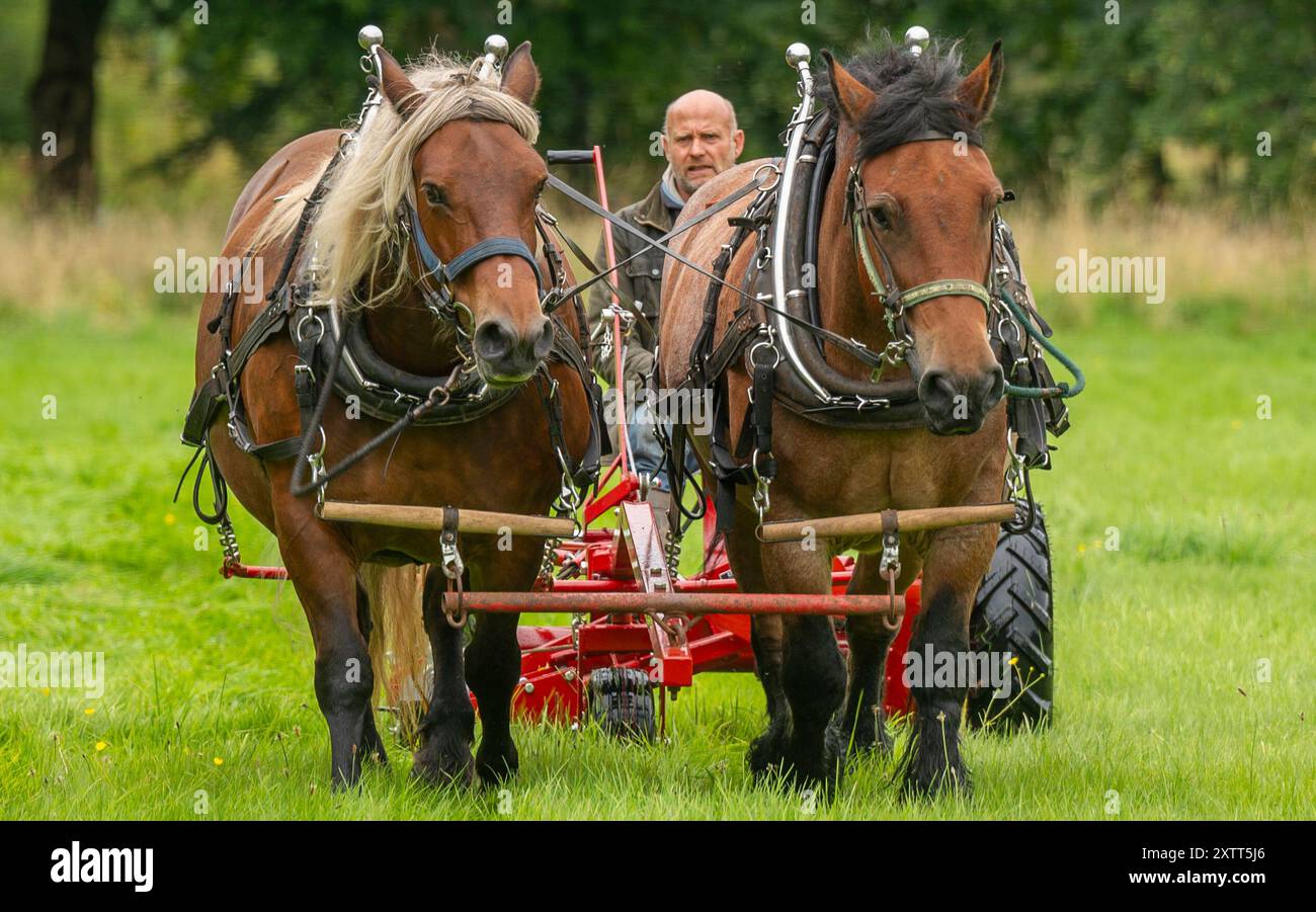 15th August 2024 Abbotsford, near Melrose, Scottish Borders, Scotland ...