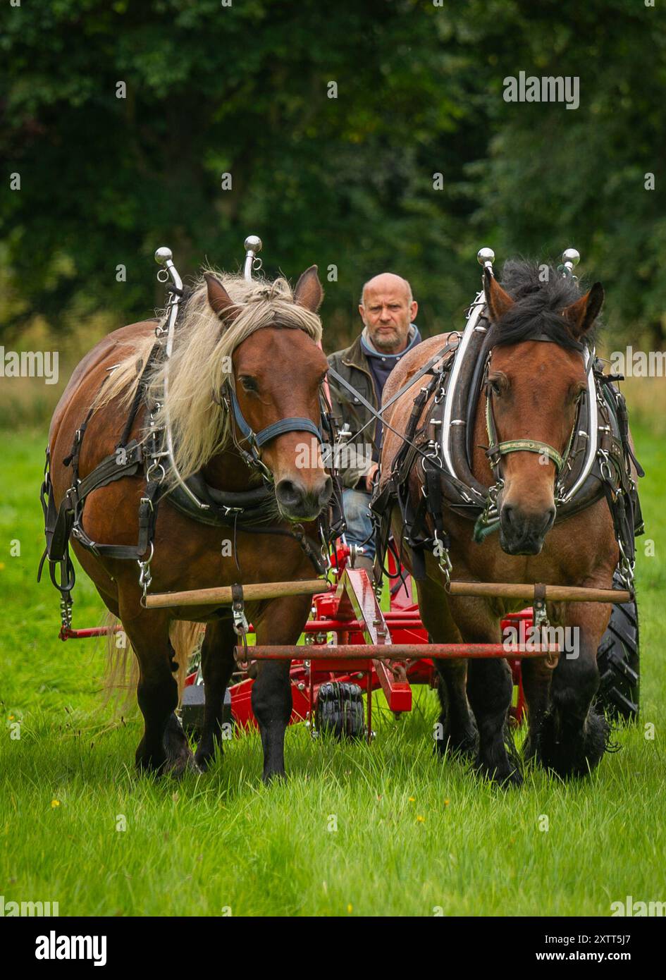 15th August 2024 Abbotsford, near Melrose, Scottish Borders, Scotland ...