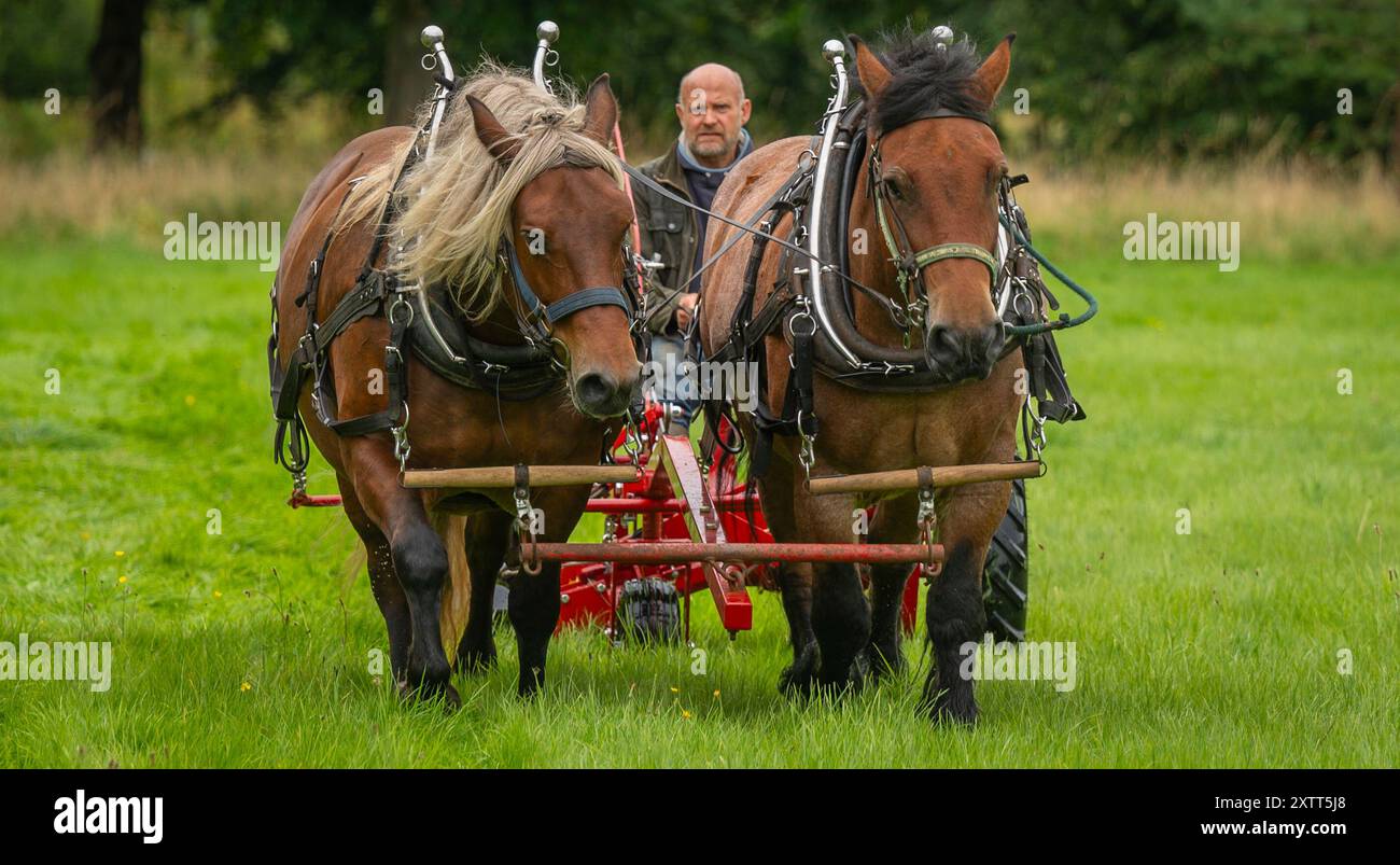 15th August 2024 Abbotsford, near Melrose, Scottish Borders, Scotland ...