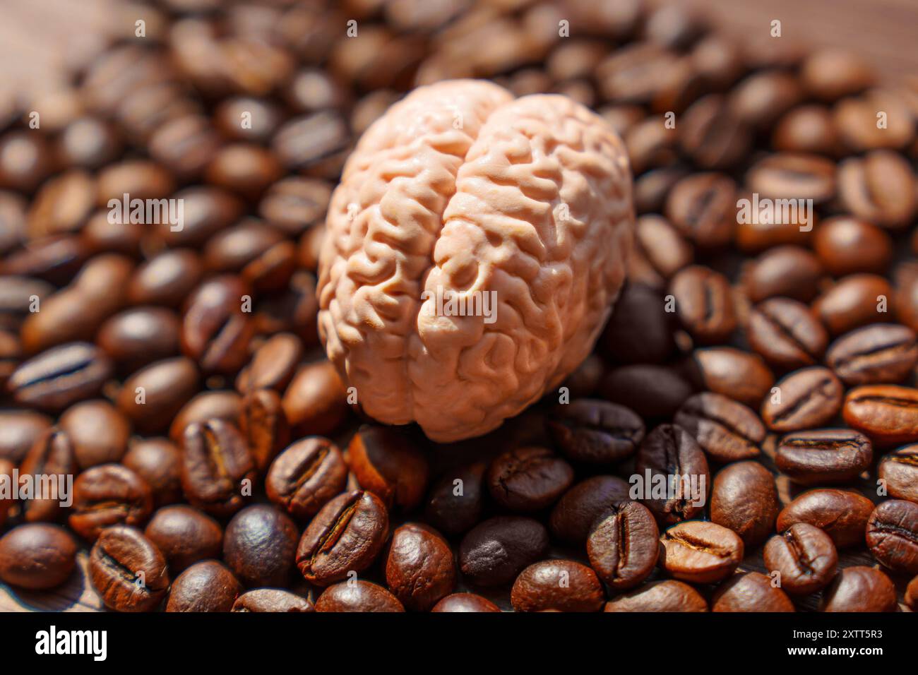 Caffeine brain boost hi-res stock photography and images - Alamy