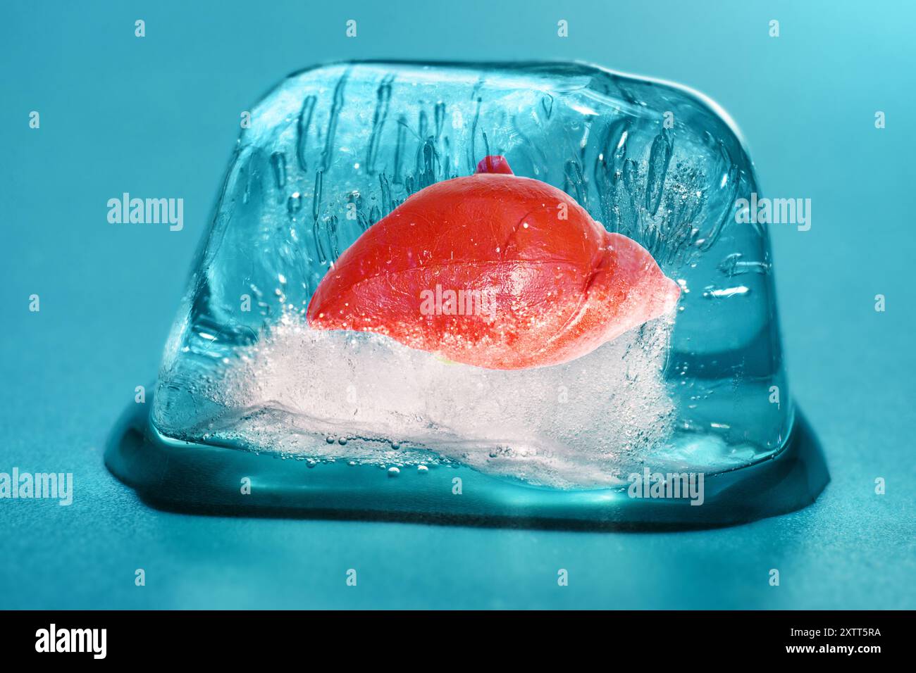 Study anatomical technology in hi-res stock photography and images - Alamy