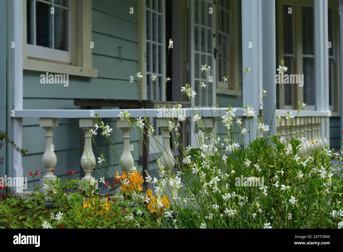 Classic new zealand architecture hi-res stock photography and images ...