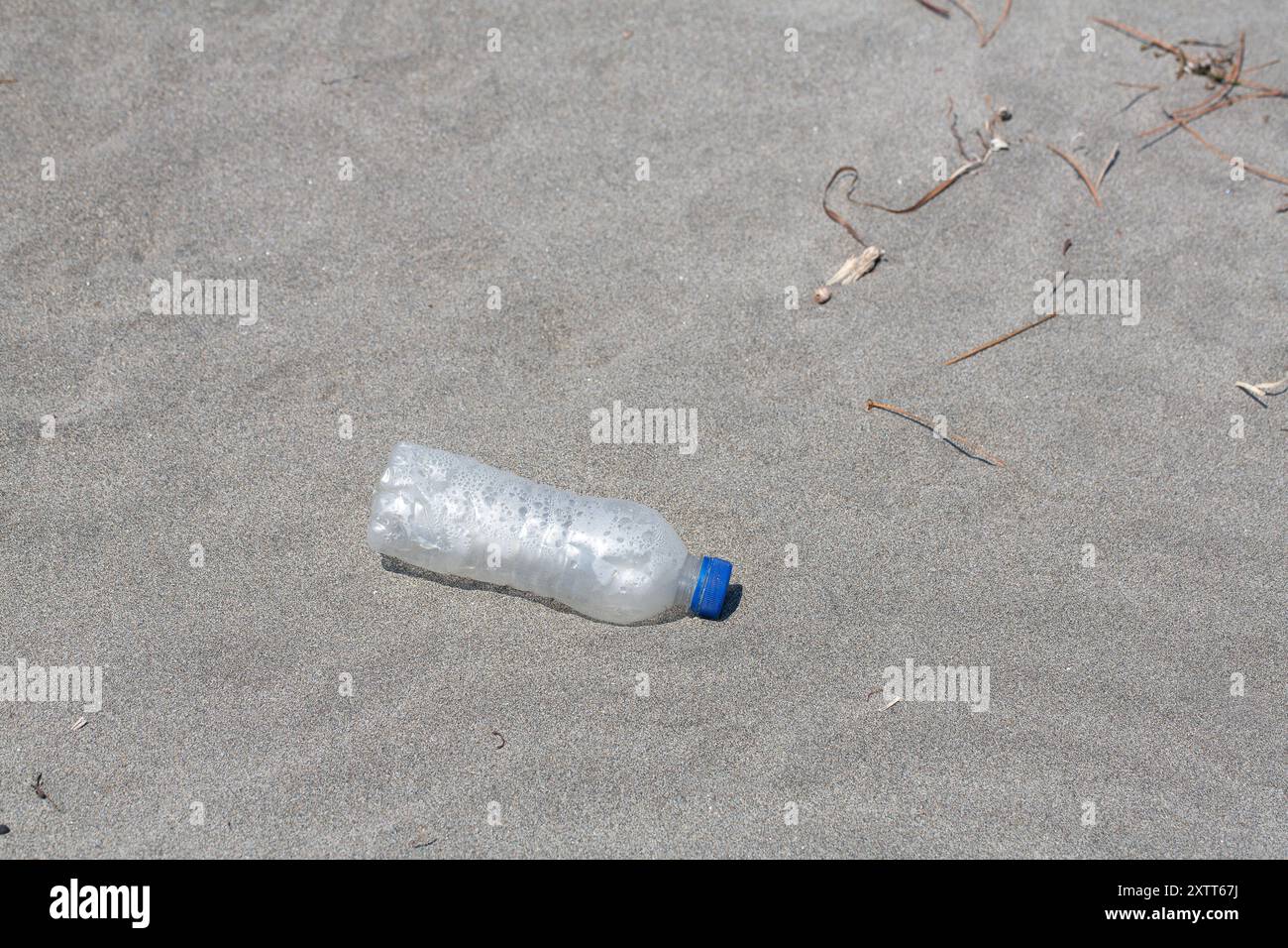 Plastic bottle polluting a sandy beach, raising awareness about ...