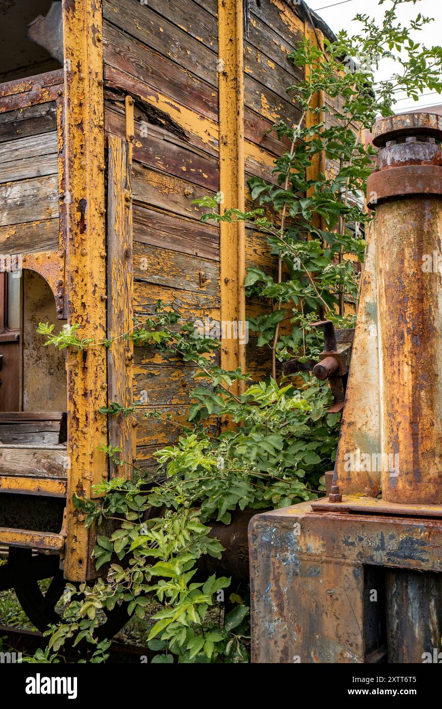 Rusty details of an old steam train with overgrown vegetation at an ...