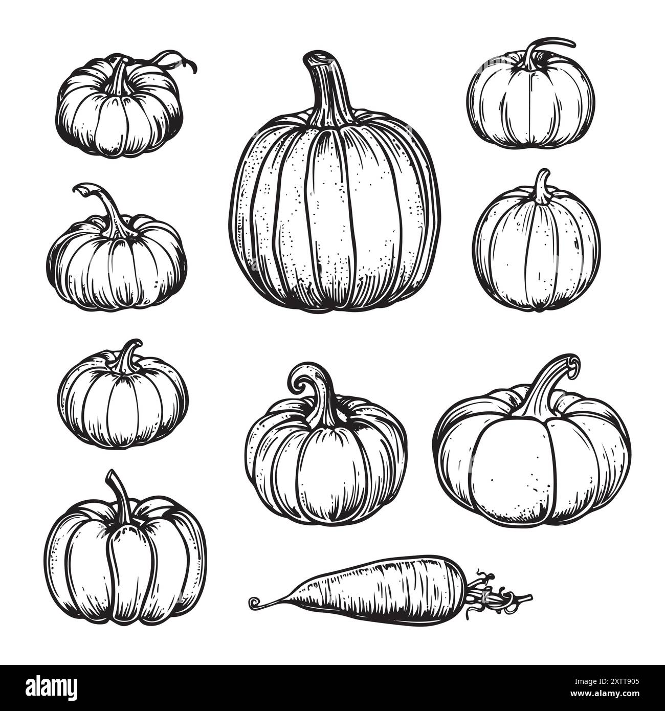 Collection of graphic hand drawn ink pumpkins for your design Vector ...