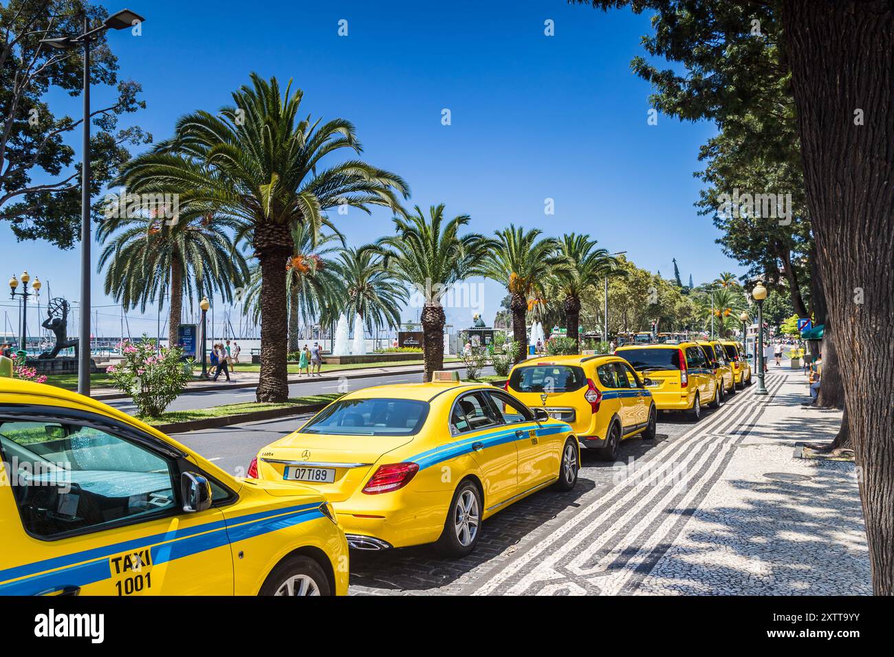 A line of yellow taxis waiting on the roadside on Av do Mar boulevard ...