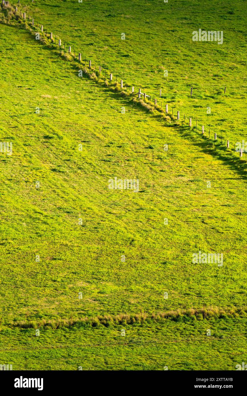 Aerial view of sunlight on lush green farmland and fencelines at ...