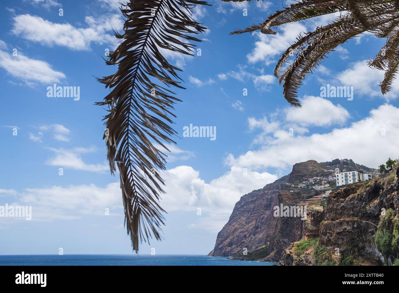 Palm leaves arch over the frame above Camara de Lobos promenade in ...