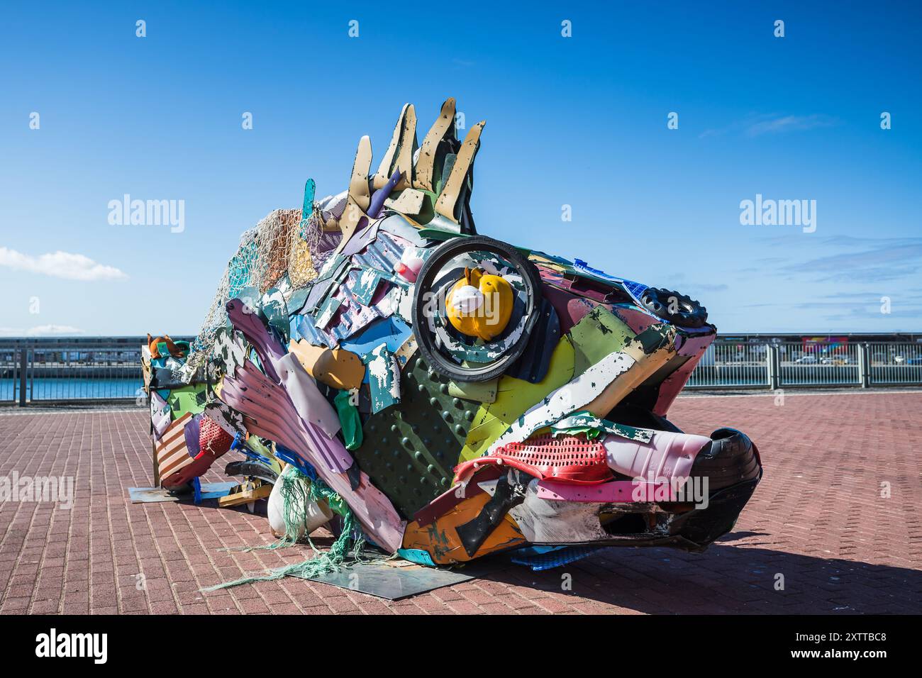 A piece of Bordalo street art known as Plastic Melo pictured on the ...