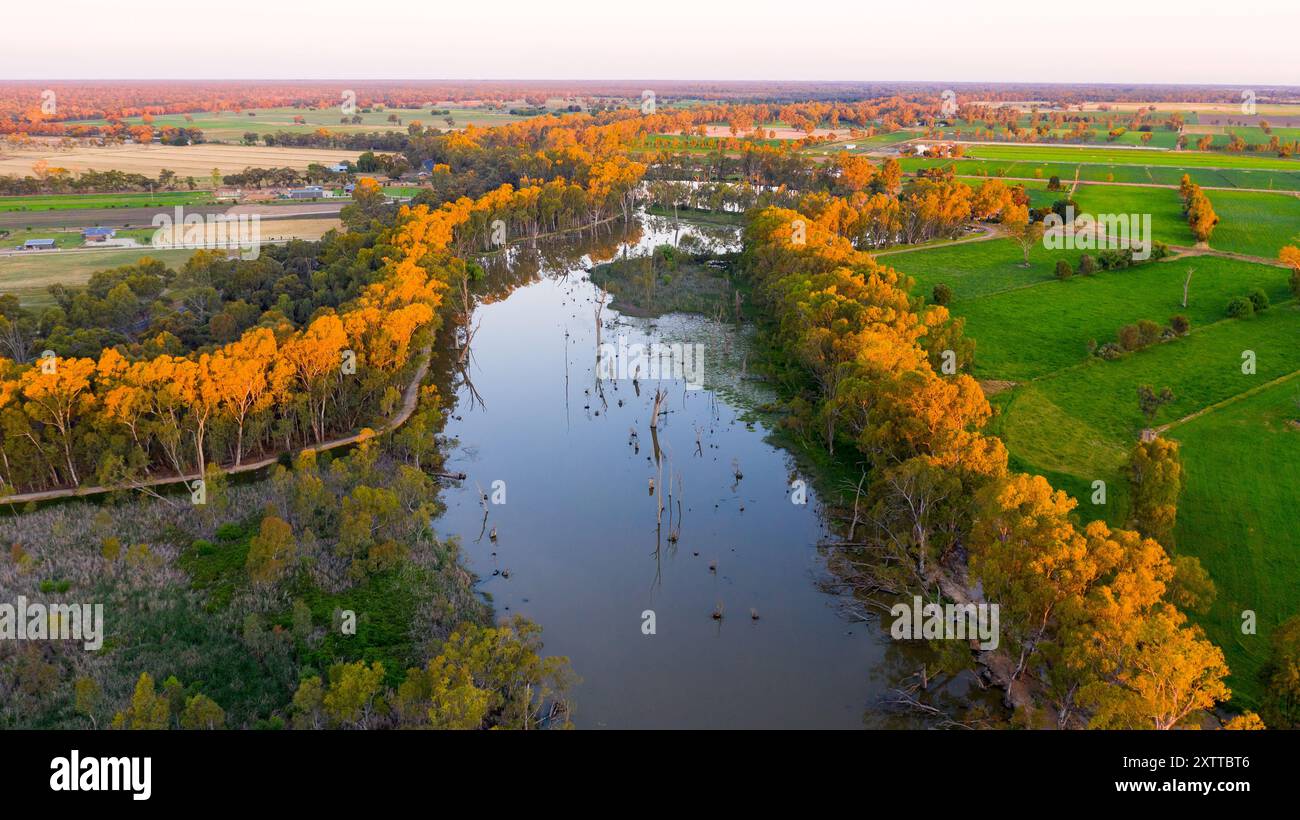 Aerial view of a river running between banks lined with gumtrees at ...