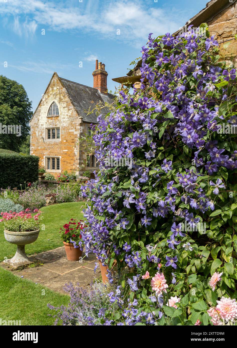 Clematis house hi-res stock photography and images - Alamy