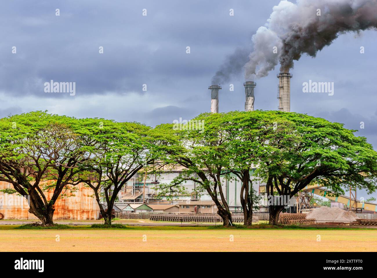 Victoria sugar mill, Ingham - Queensland, Australia Stock Photo - Alamy