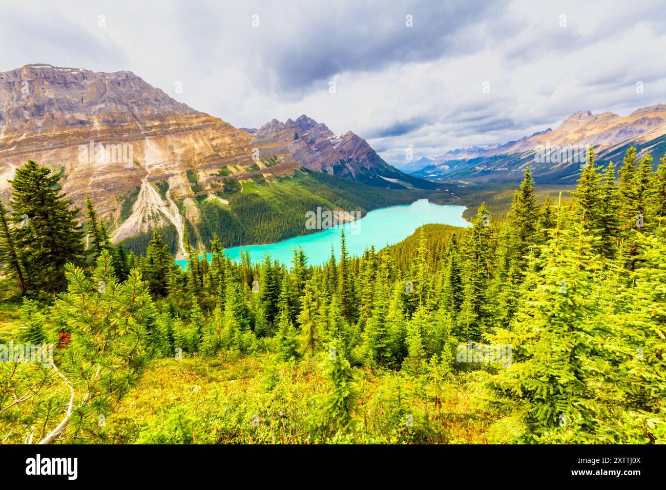 Landscape of Rocky Mountains. The amazing turquoise Peyto Lake. Banff ...