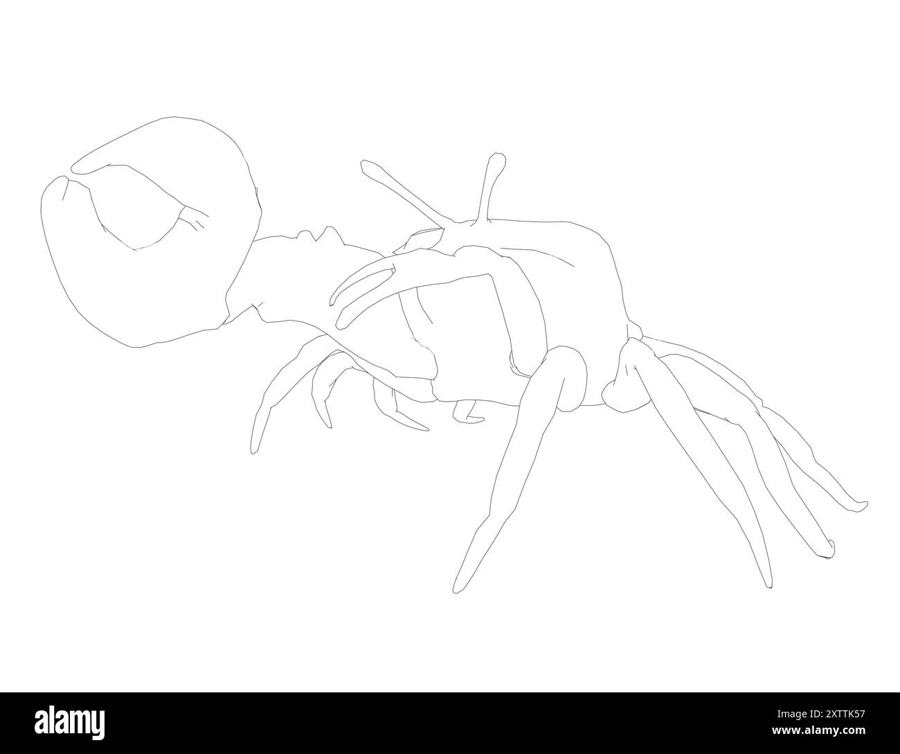 Outline of a crab with one huge claw made of black lines isolated on a ...