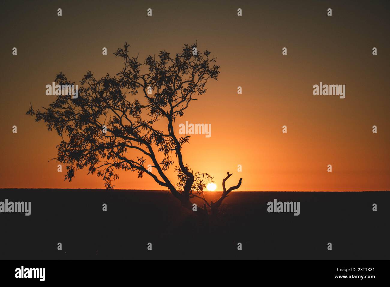 Australian wasteland hi-res stock photography and images - Alamy
