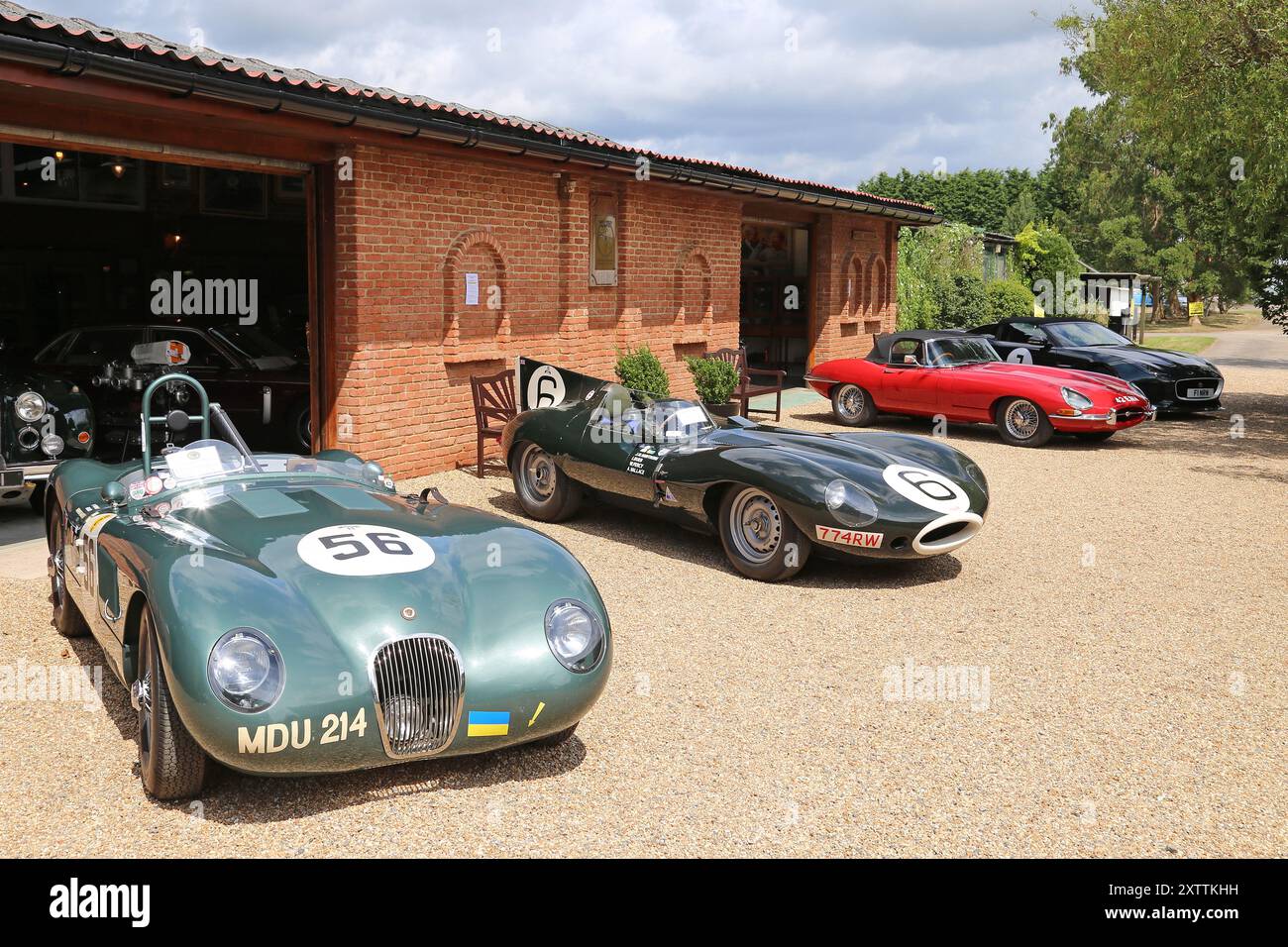Jaguar C-Type (XKC 004, 1952), D-Type, E-type and F-Type beyond, Mike ...