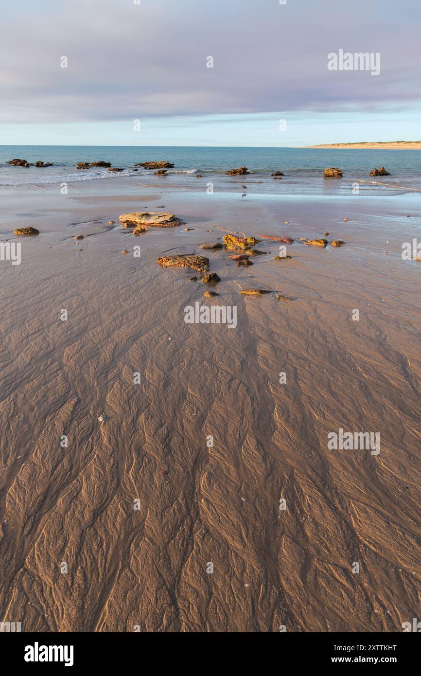Receding sea water trickles over the sand, creating numerous channels ...