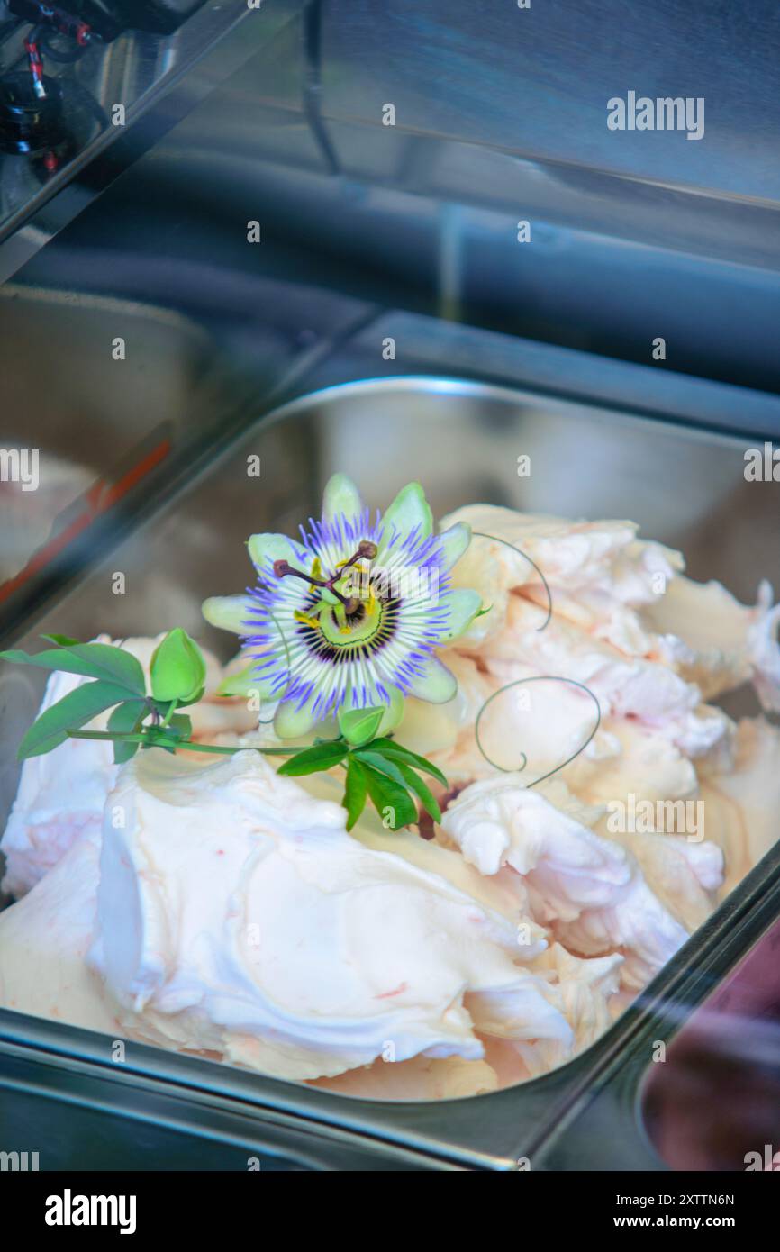 Passion flower garnishing tray of gourmet gelato ice cream Stock Photo ...