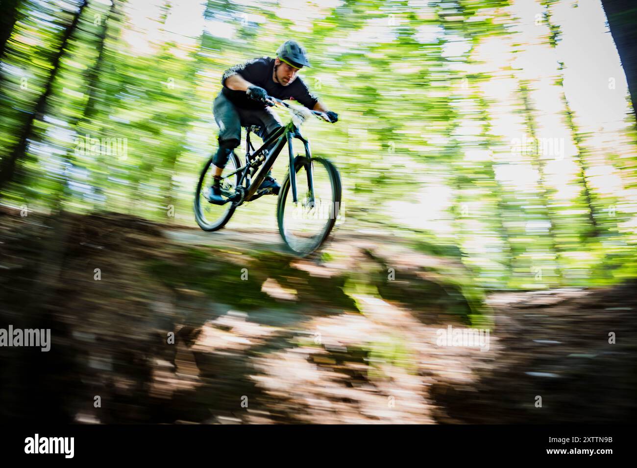 Mountain biker racing downhill through the forest Stock Photo - Alamy