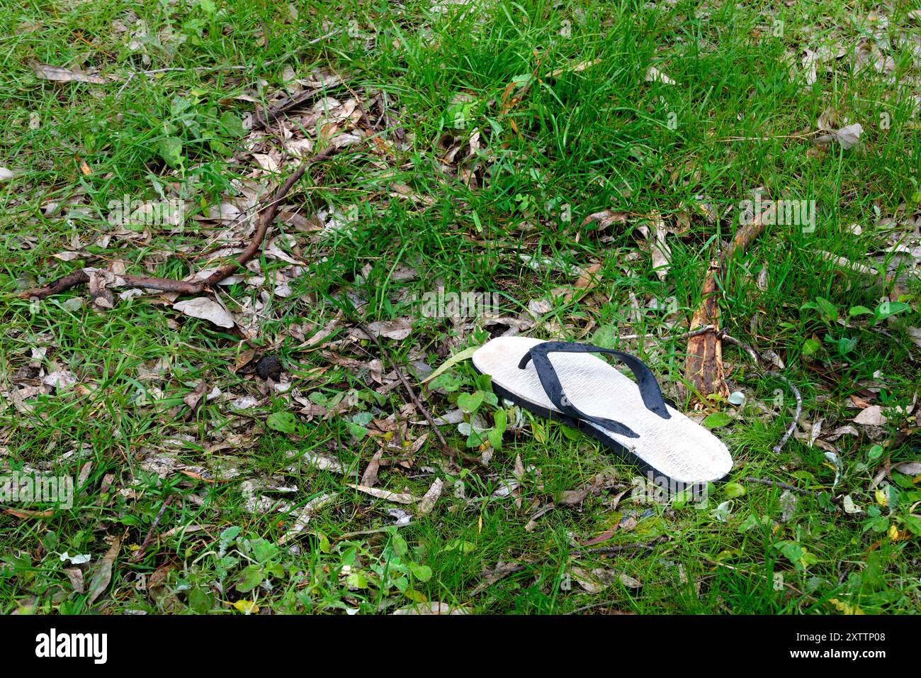 Rubber thong on green grass, Cobblers Pool, Toodyay, Western Australia ...