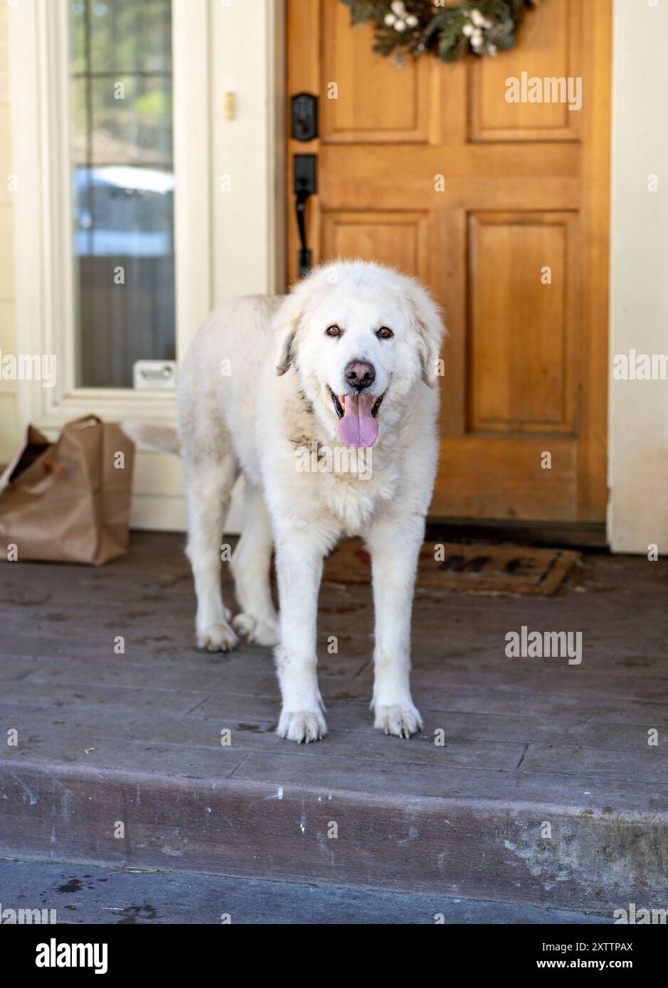 Member greeting hi-res stock photography and images - Alamy