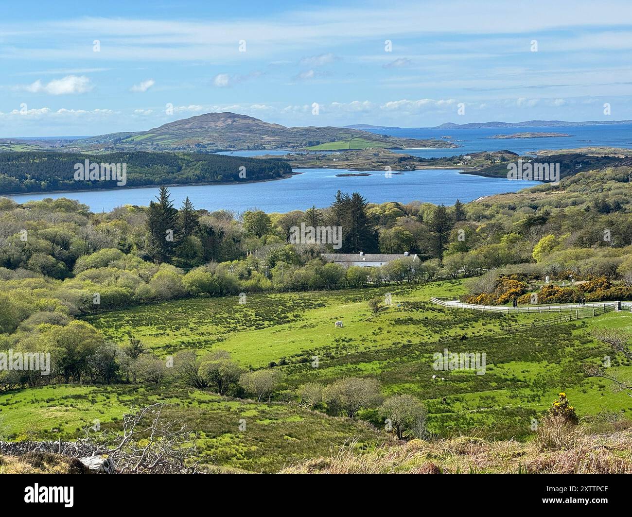 Lush green pastures hi-res stock photography and images - Alamy