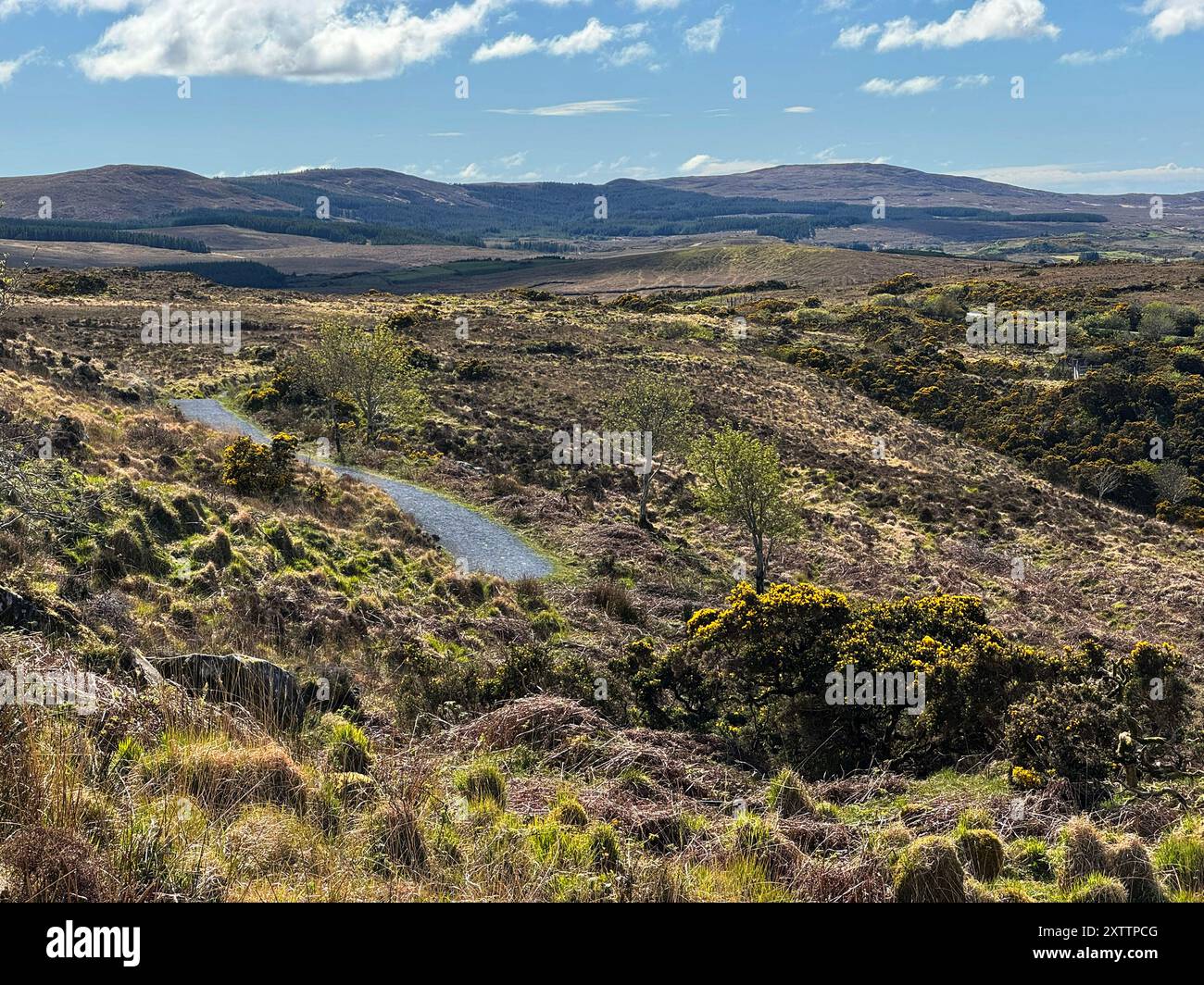Irish hills natural reserve hi-res stock photography and images - Alamy