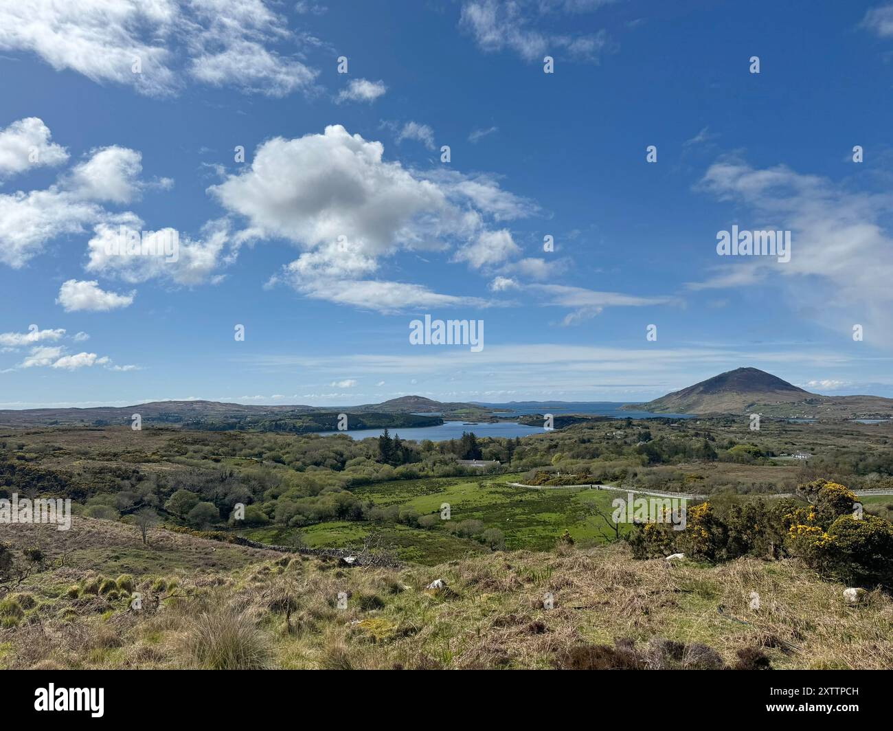 Lush pastures ireland hi-res stock photography and images - Alamy