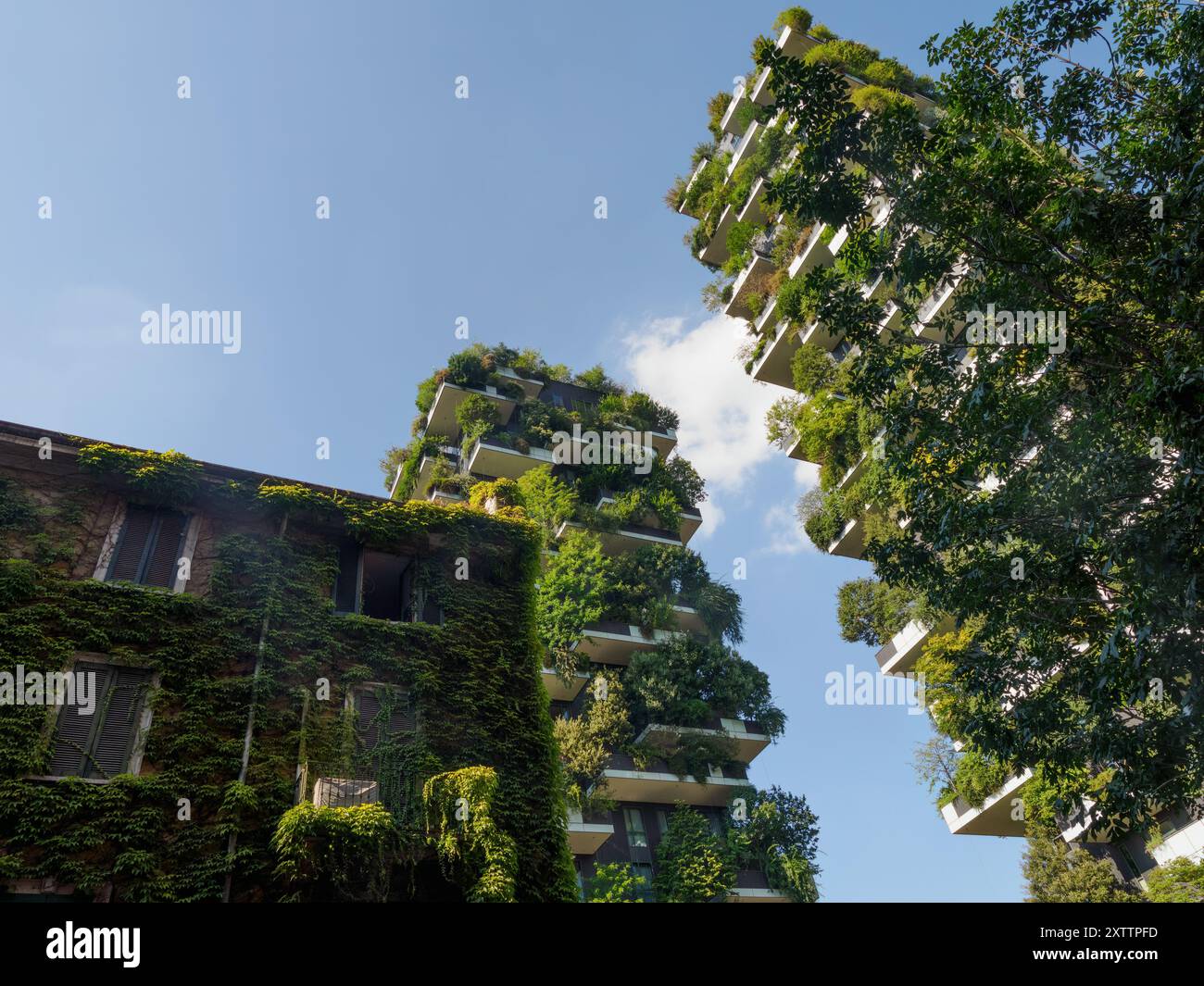 Bosco Verticale, modern residential buildings in Milan, Lombardy, Italy ...